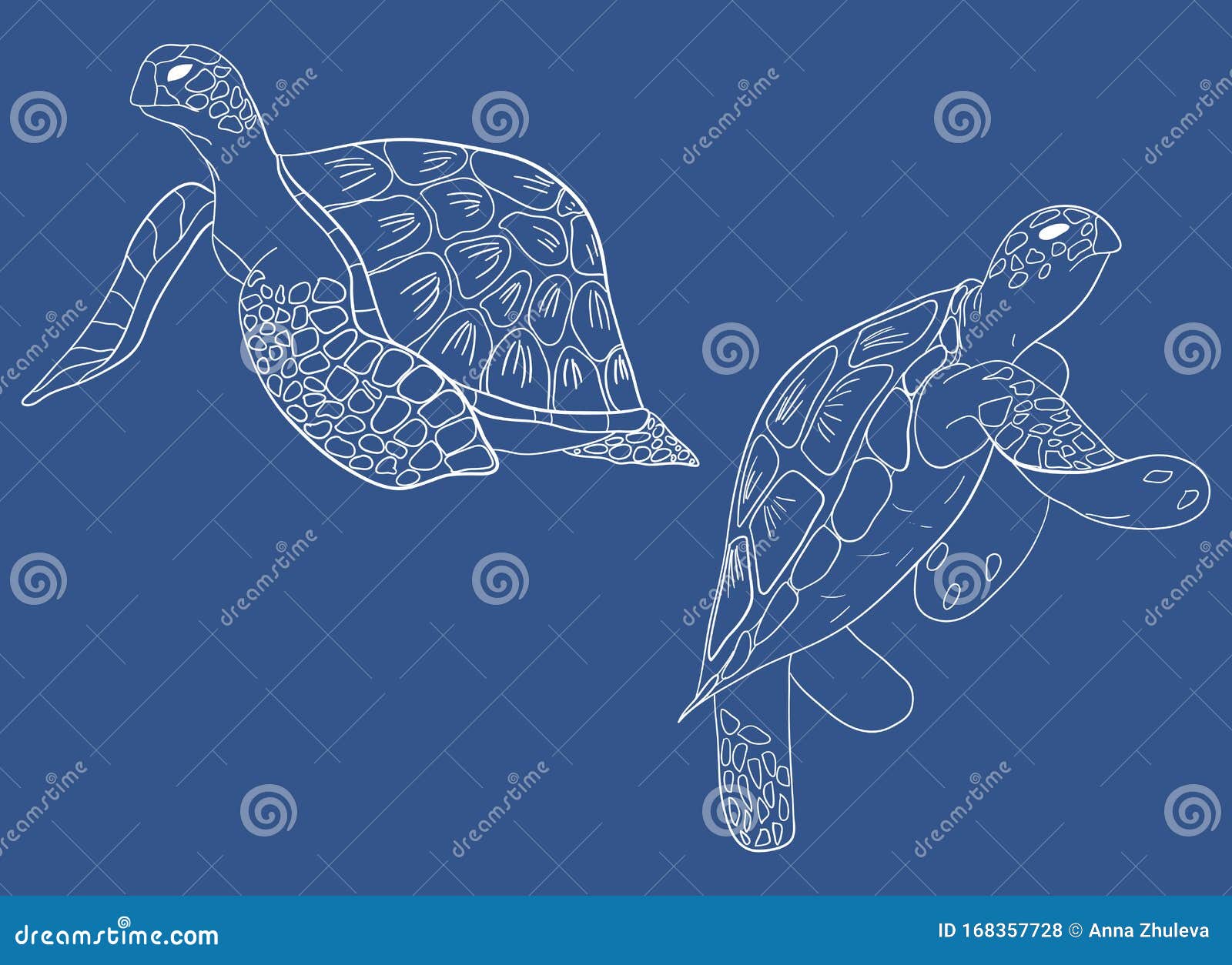 Vector Set of Sea Turtle Isolated Blue Background Stock Vector ...