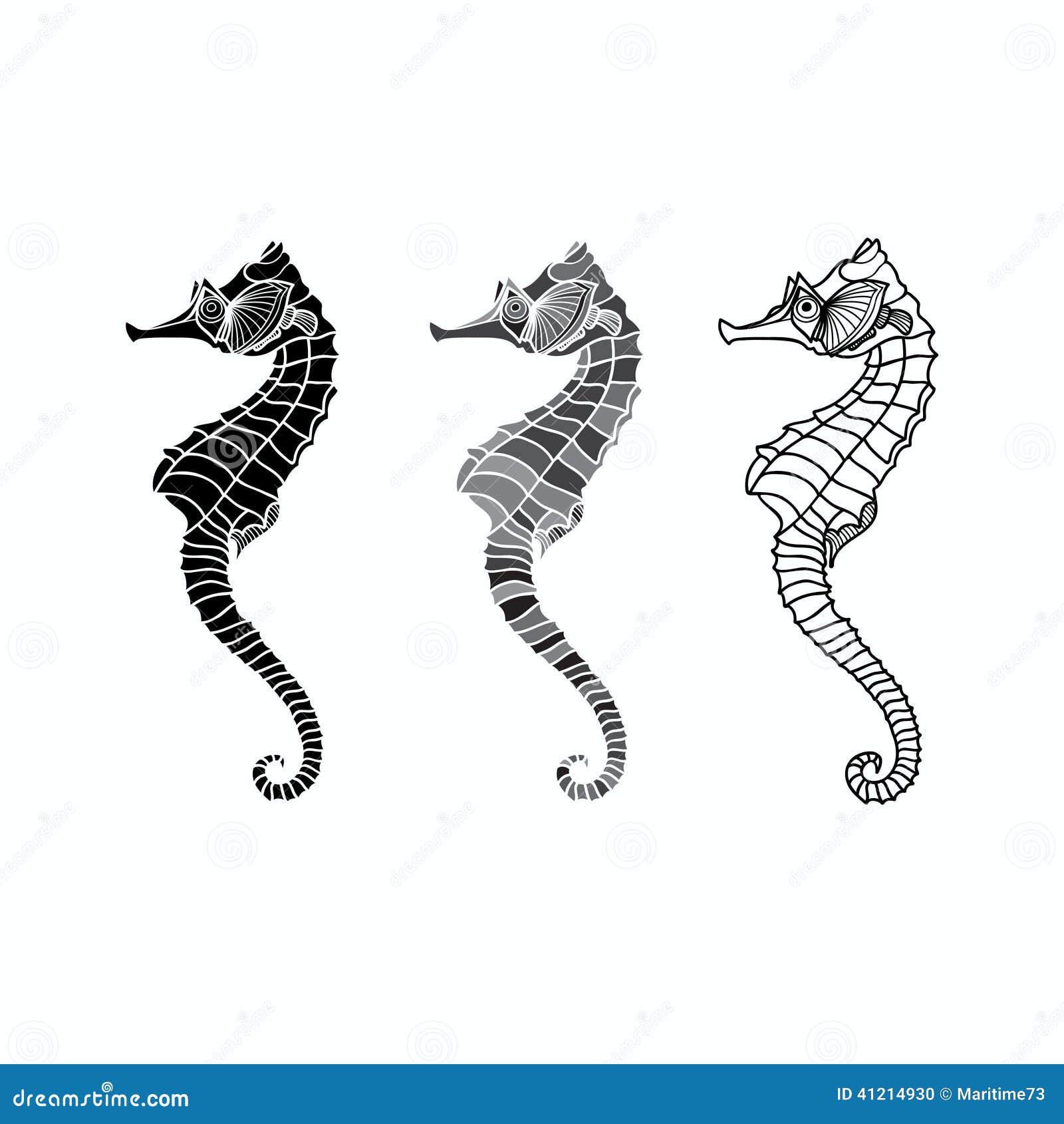 Vector Set of Seahorse on a White Background Stock Illustration ...