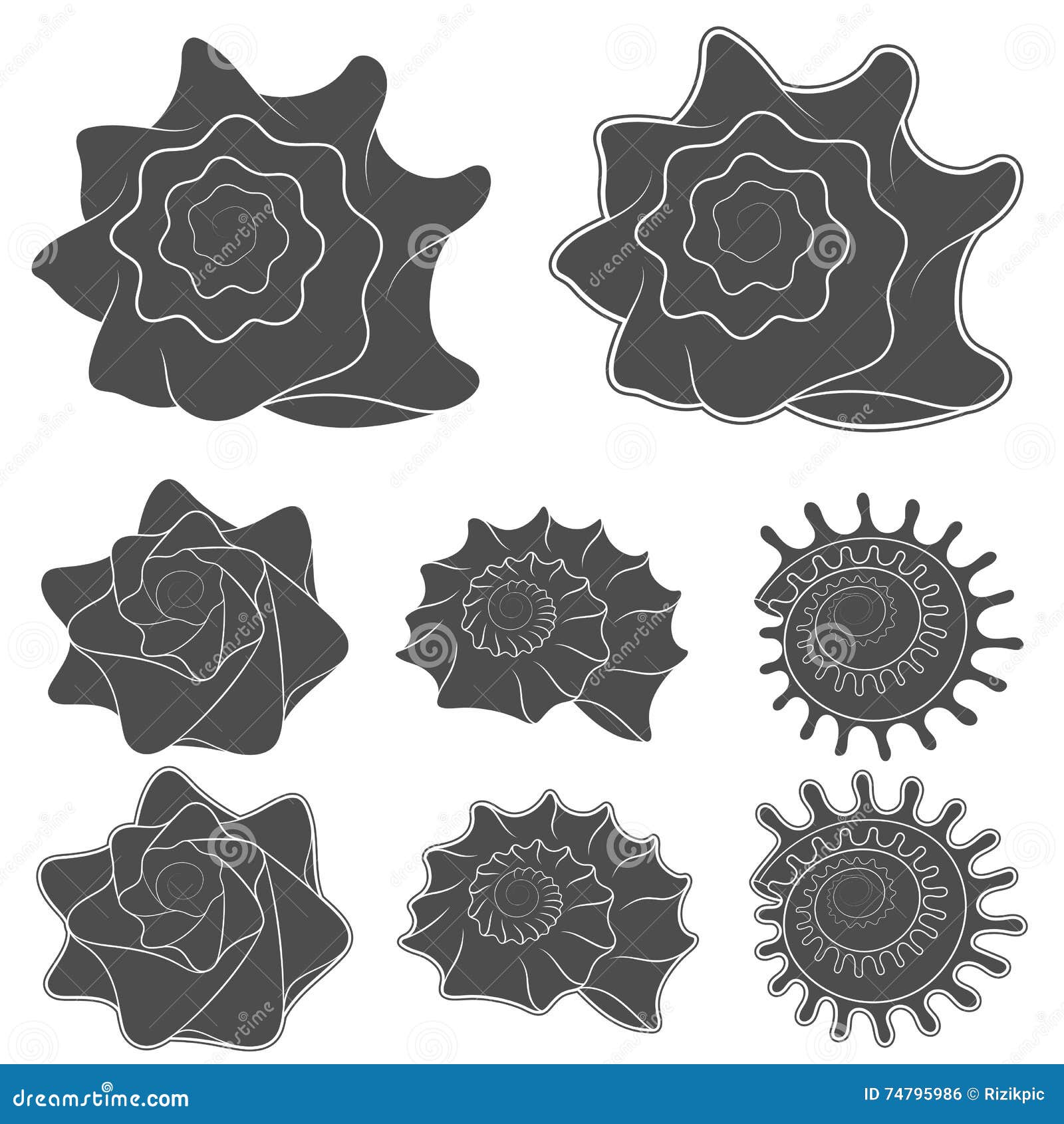 Vector Set of Seashells. EPS10 Stock Vector - Illustration of ...
