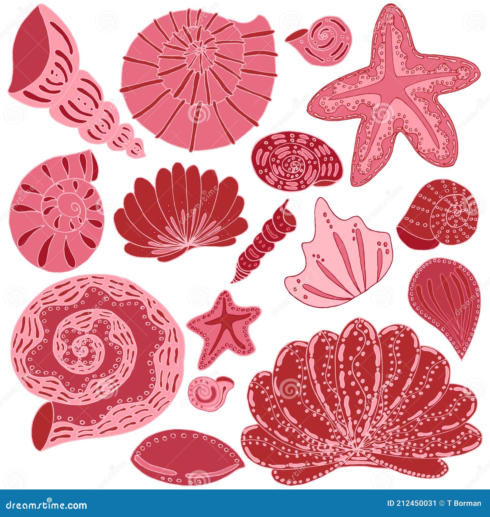 Vector Set Seashells and Stars Stock Vector - Illustration of star ...