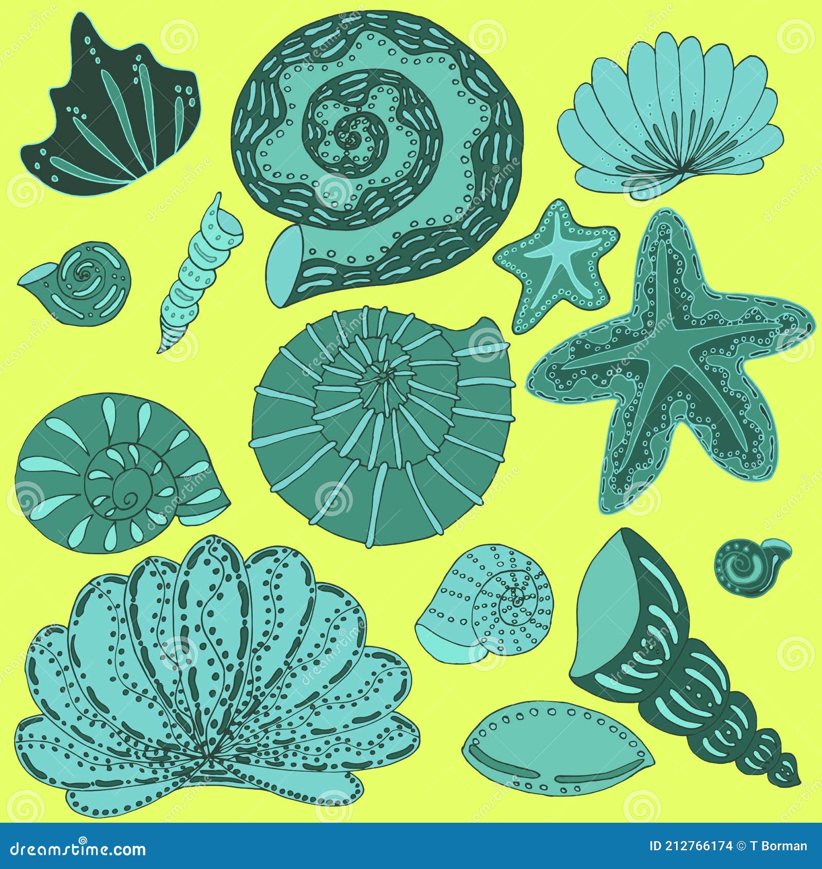 Vector Set Seashells and Stars Stock Illustration - Illustration of ...