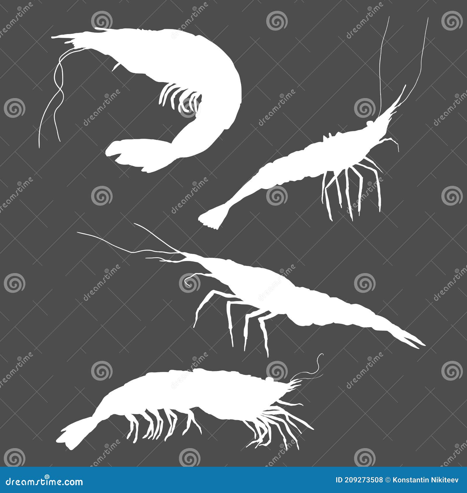 Vector Set of Shrimp Silhouettes Stock Vector - Illustration of shape ...