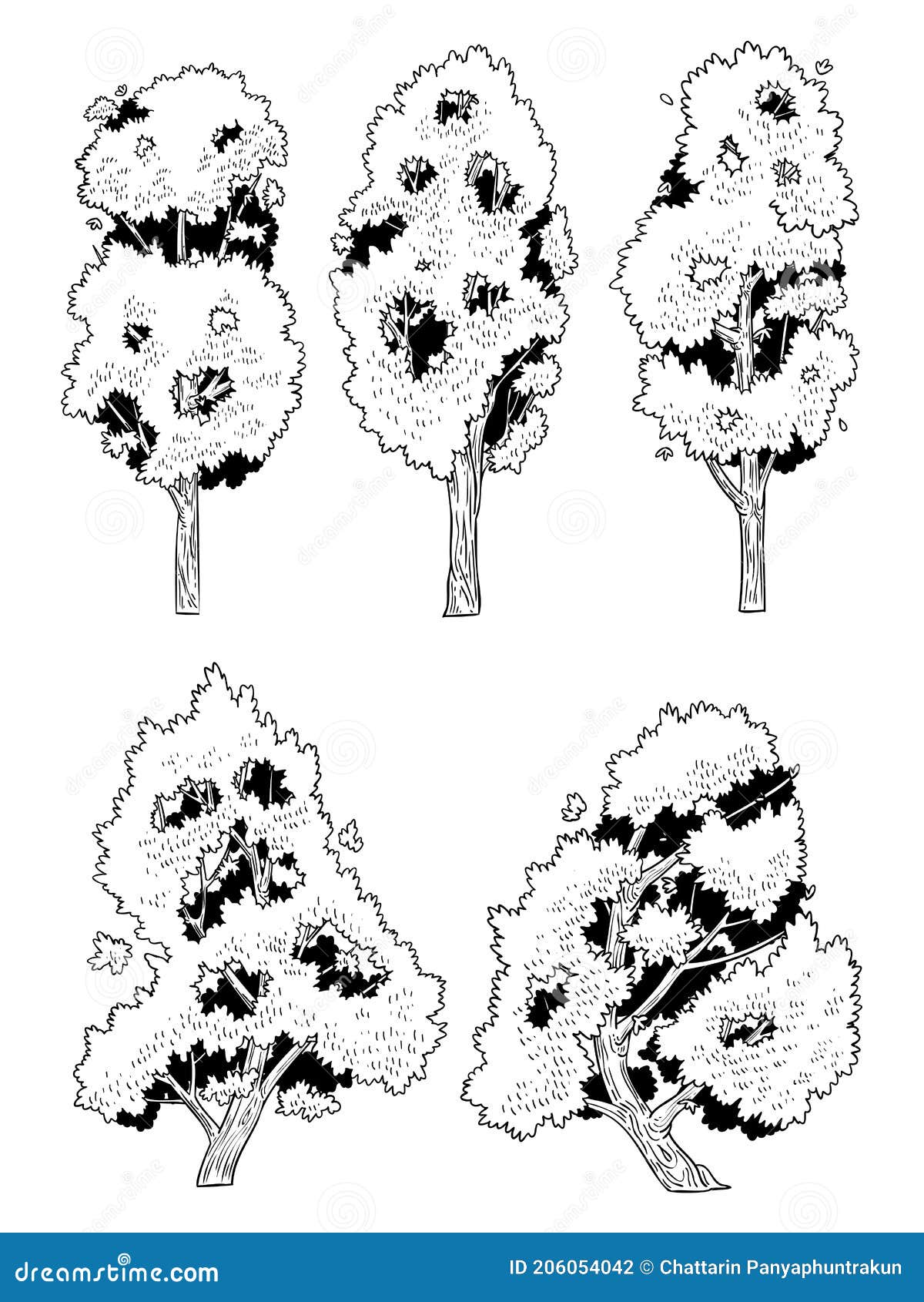 Vector Set of Side View Tree Isolated on White Background Stock Vector ...