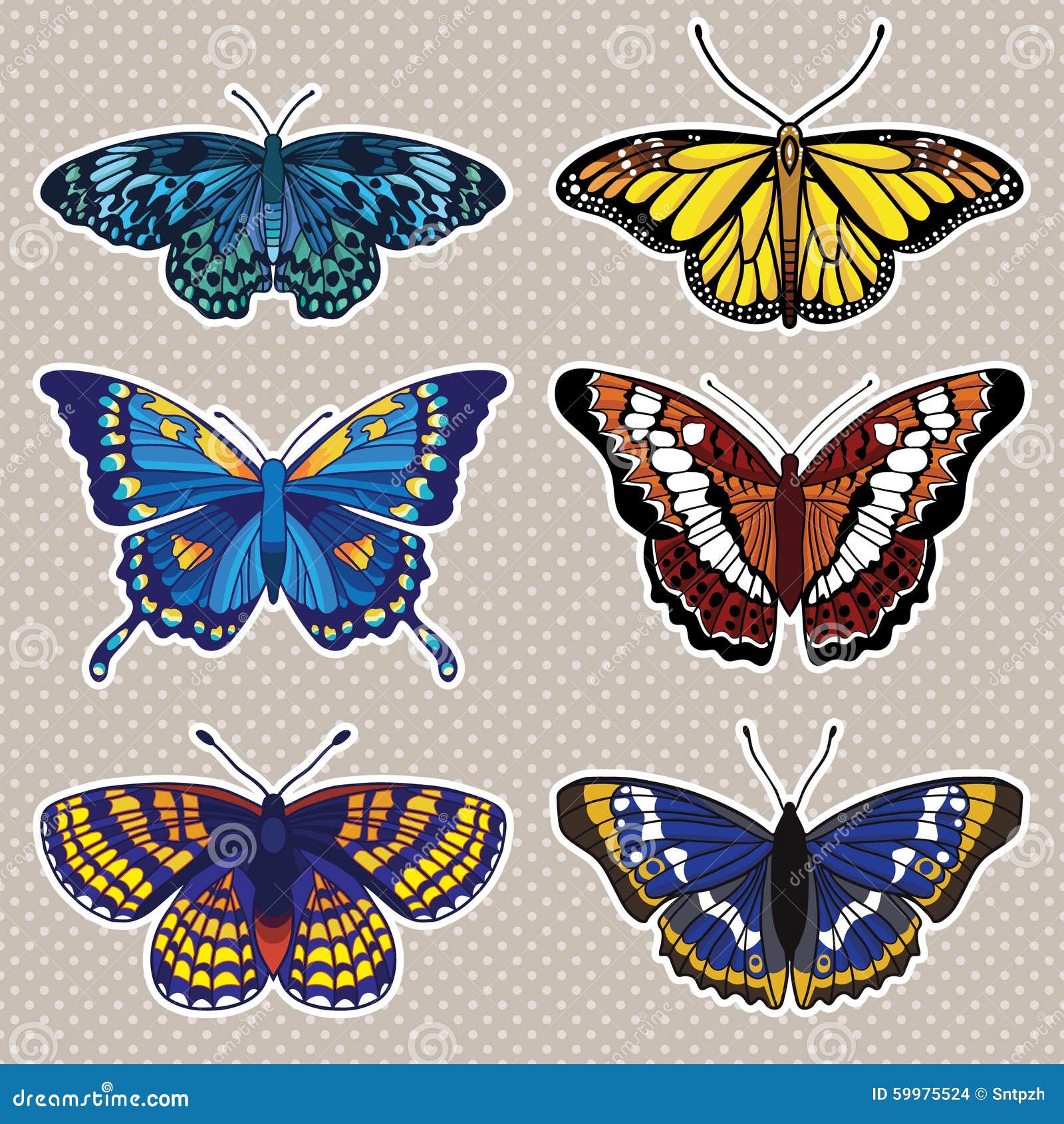 Vector Set with Six Butterflies Stock Vector - Illustration of artistic ...