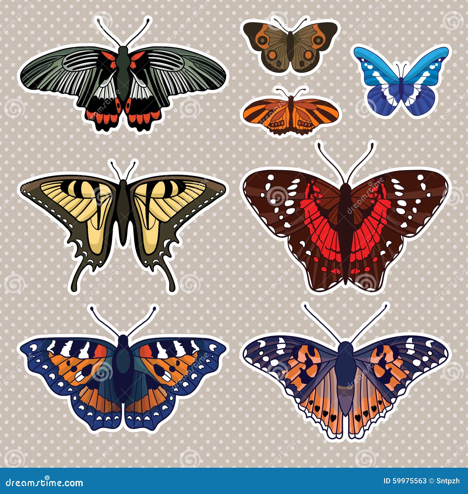 Vector Set with Six Butterflies Stock Vector - Illustration of ...