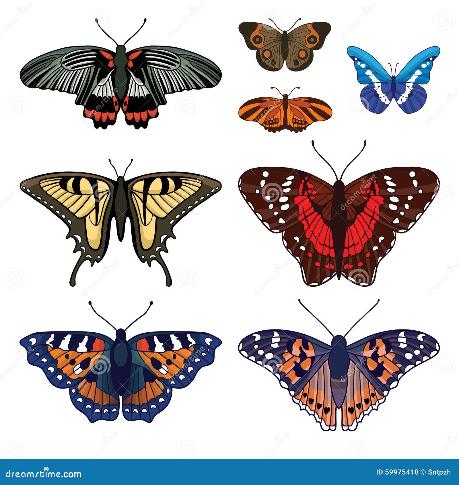 Vector Set with Six Isolated Butterflies Stock Vector - Illustration of ...