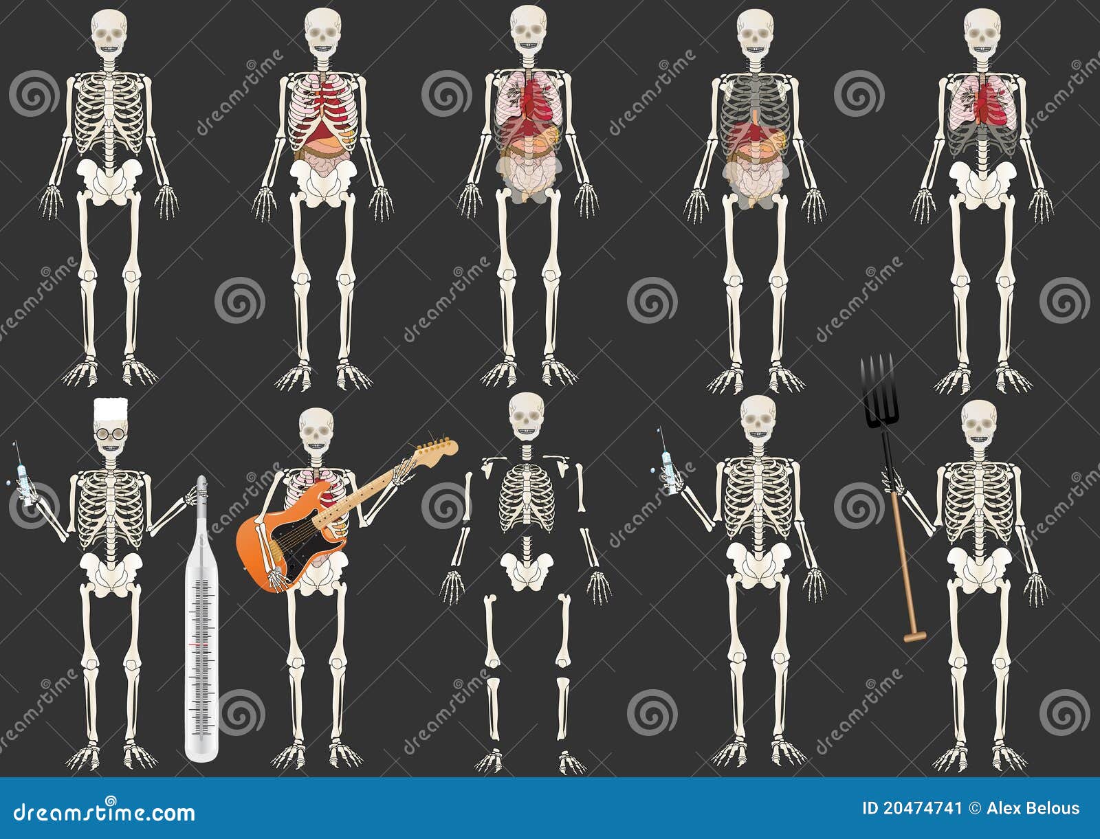 Vector Set Skeleton of the Person Stock Vector - Illustration of body ...
