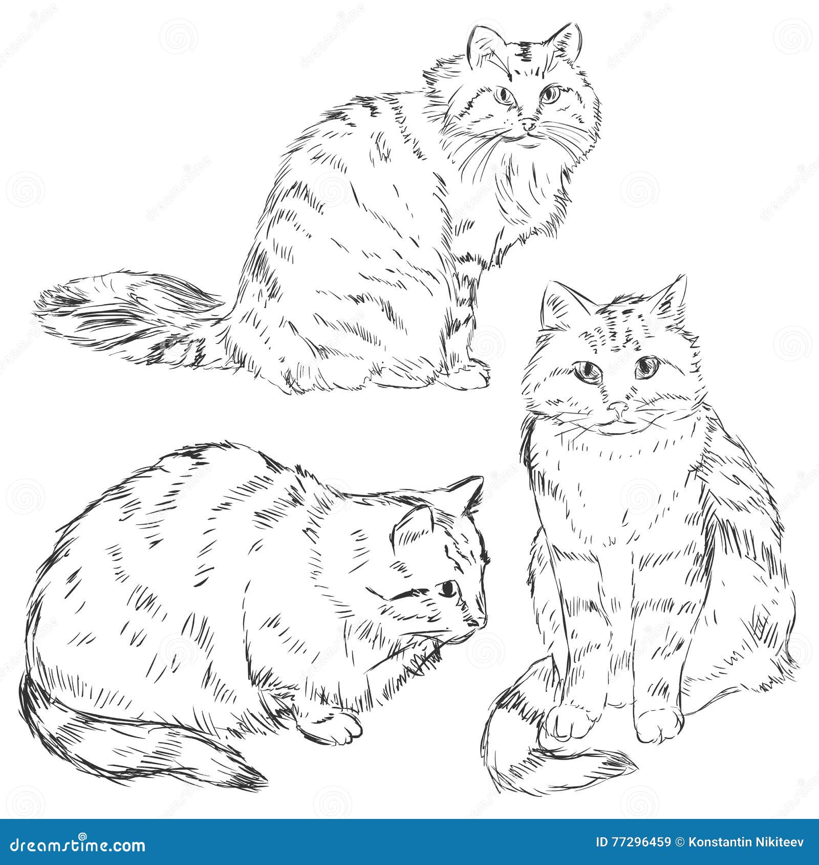 Vector Set of Sketch Cats stock vector. Illustration of beautiful ...