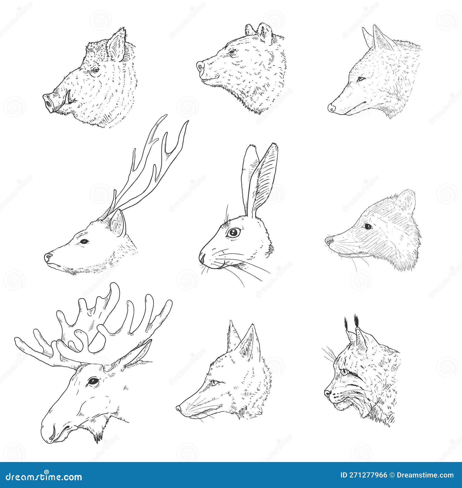 Vector Set of Sketch Forest Animals Heads Stock Vector - Illustration ...