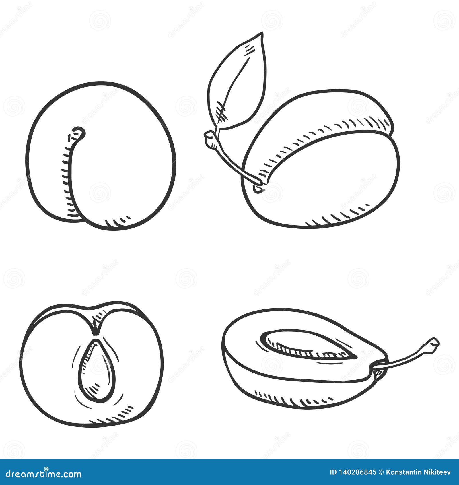 Vector Set of Sketch Plums stock vector. Illustration of black - 140286845