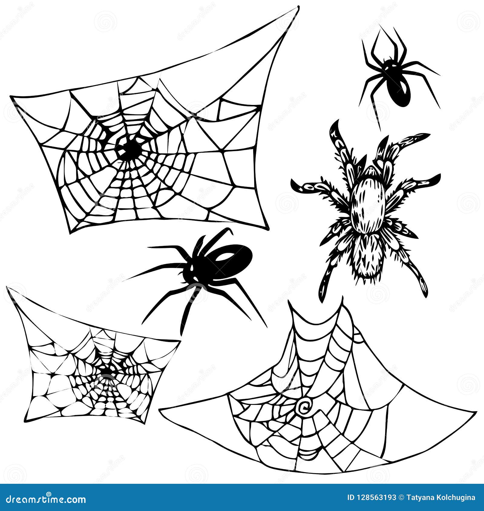 Vector Set of Spiders and Spider Webs Stock Vector - Illustration of ...