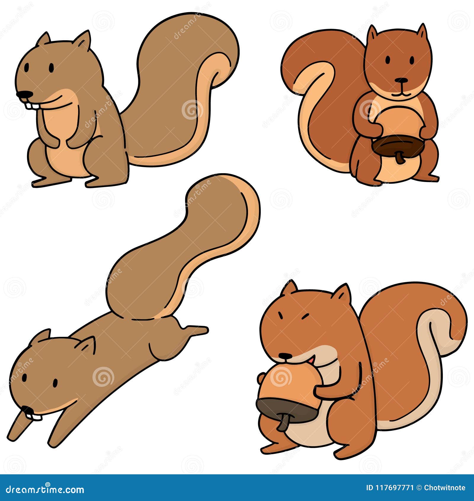 Vector set of squirrel stock vector. Illustration of hand - 117697771