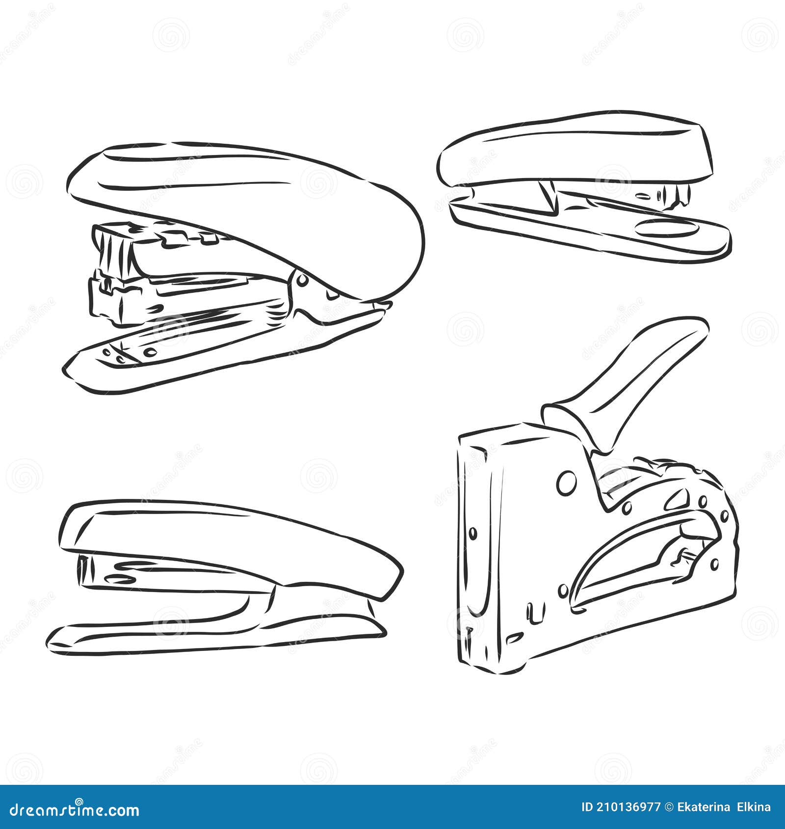 Vector Set Of Stapler Stapler Vector Sketch Illustration ...