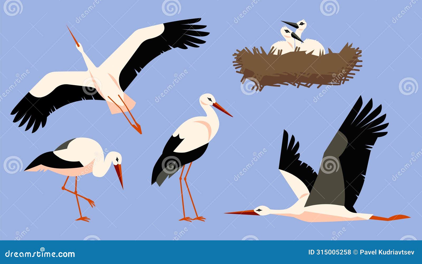 Vector Set of Storks Depicted in Various Poses and Angles: in Flight ...