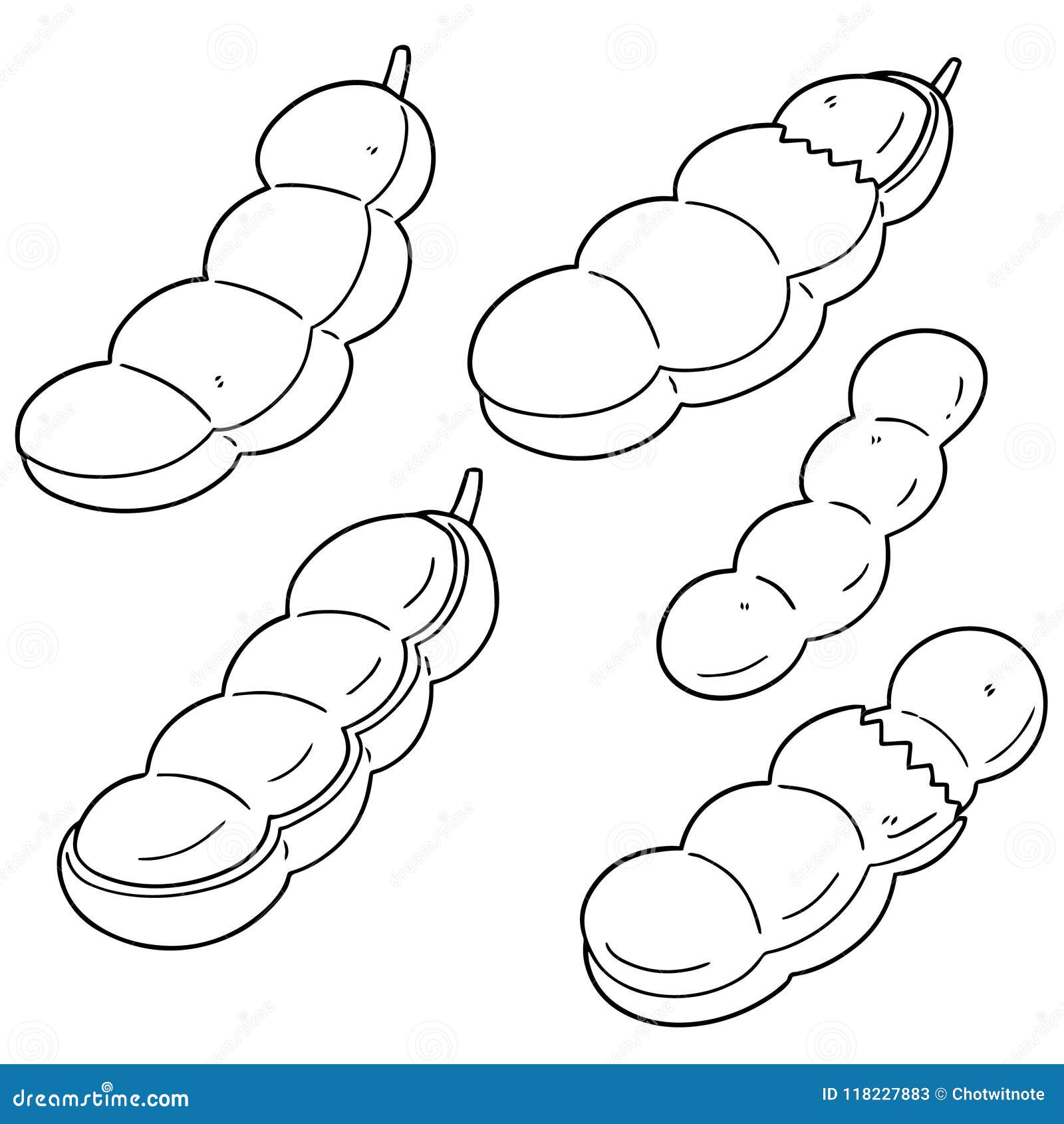 Tamarind Clip Art Black And White Sketch Coloring Page