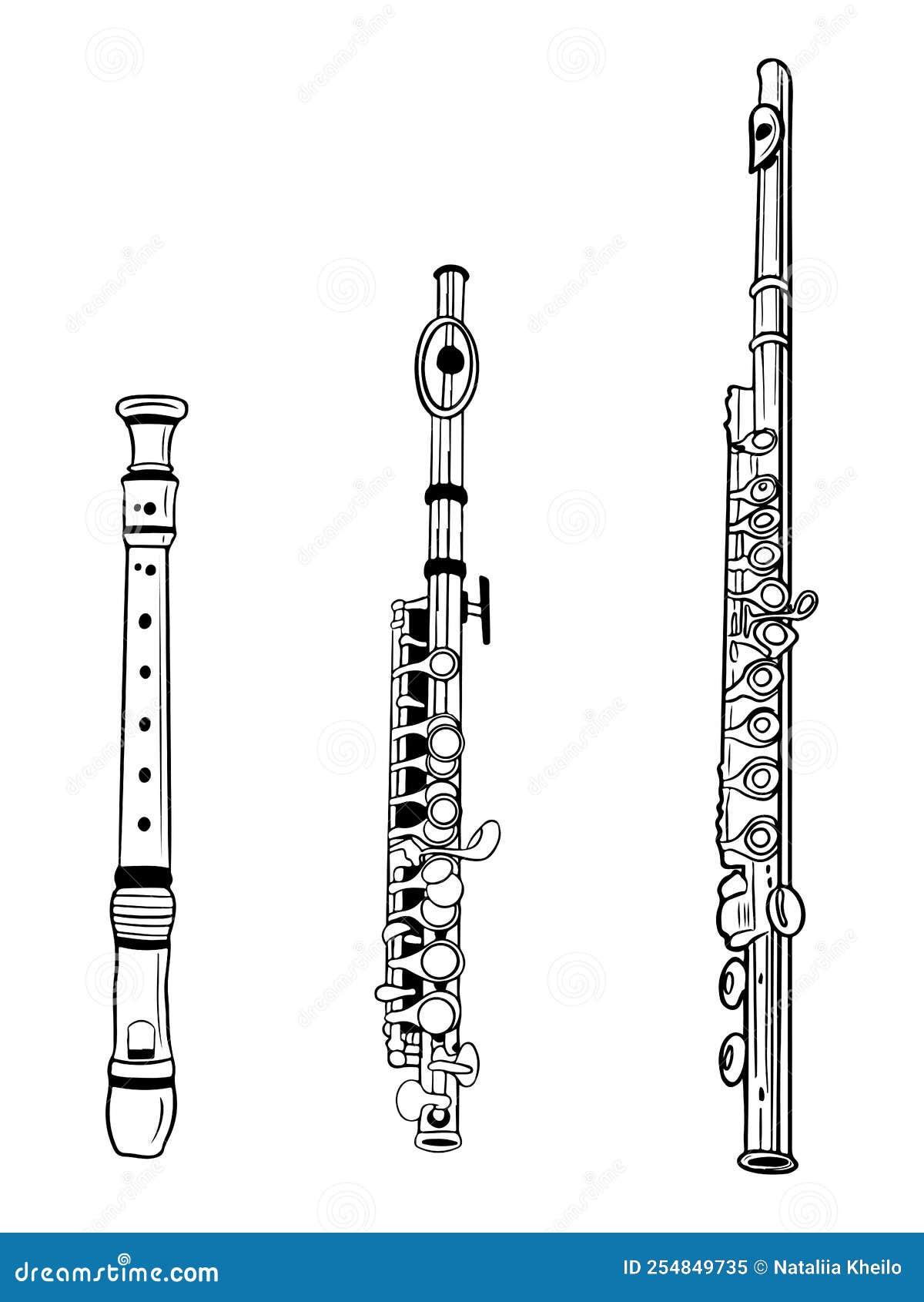 Vector Set of Three Different Flutes in Black Stock Vector ...