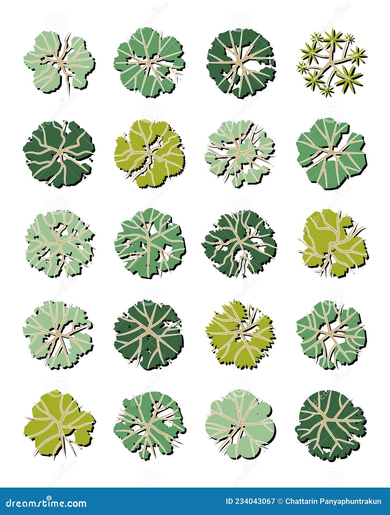 Vector Set of Top View Tree Stock Vector - Illustration of texture ...