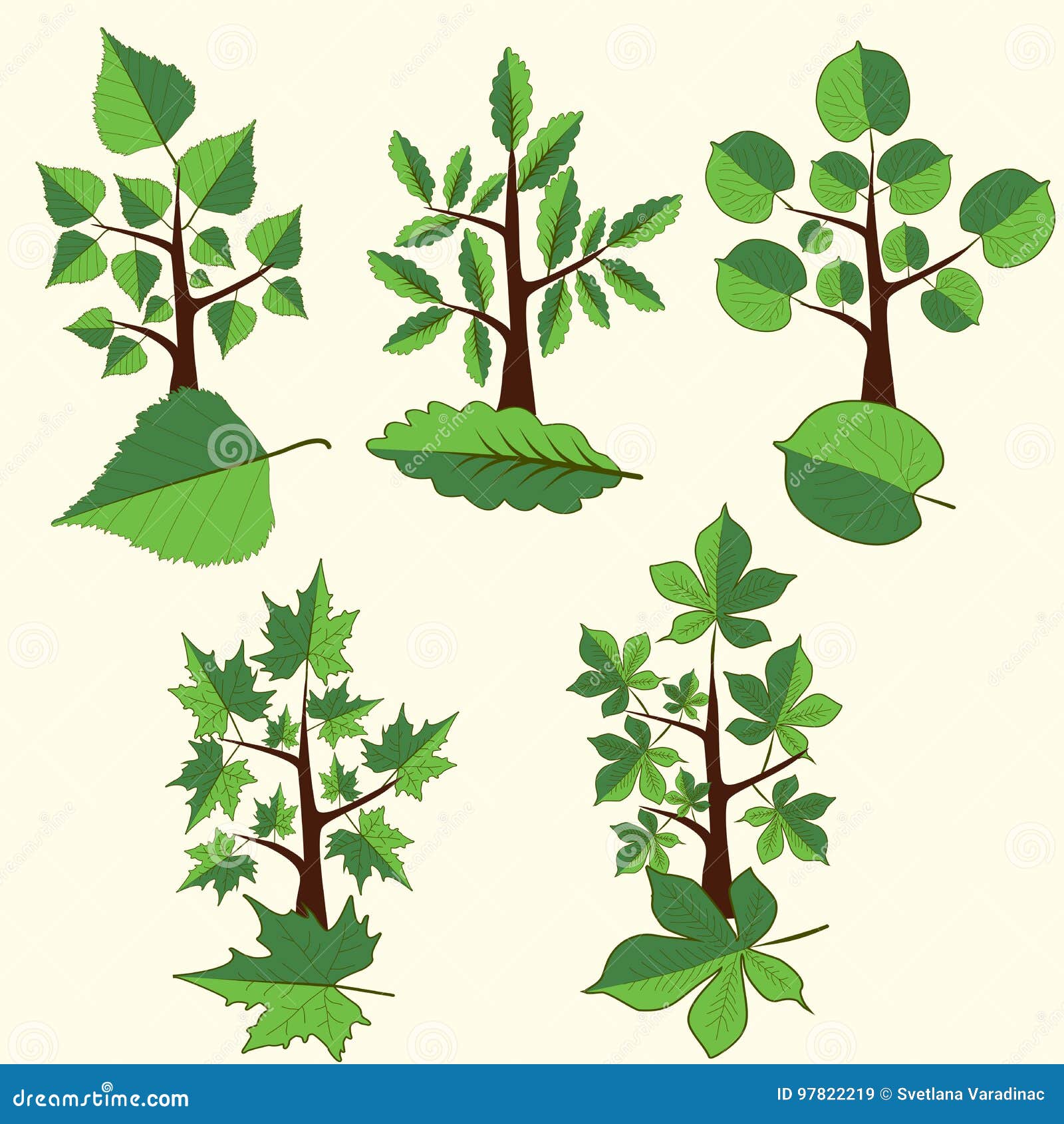 Vector set. Tree Clip Art stock vector. Illustration of clipart - 97822219