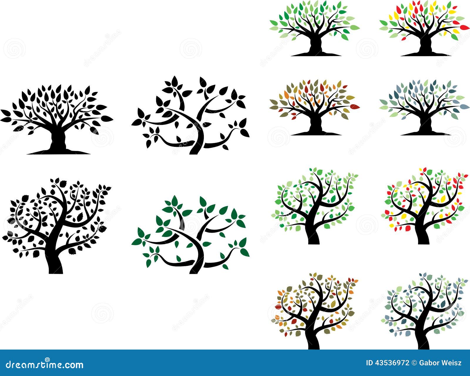 Vector Set Of Trees With Seasons | CartoonDealer.com #43536972