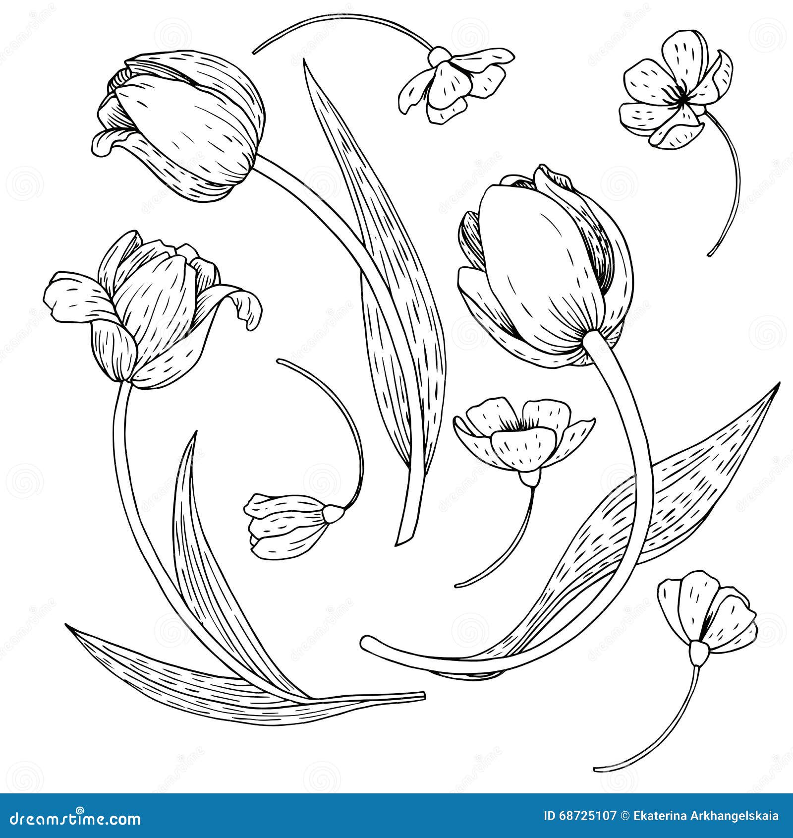 Vector set of tulips stock vector. Illustration of organic - 68725107