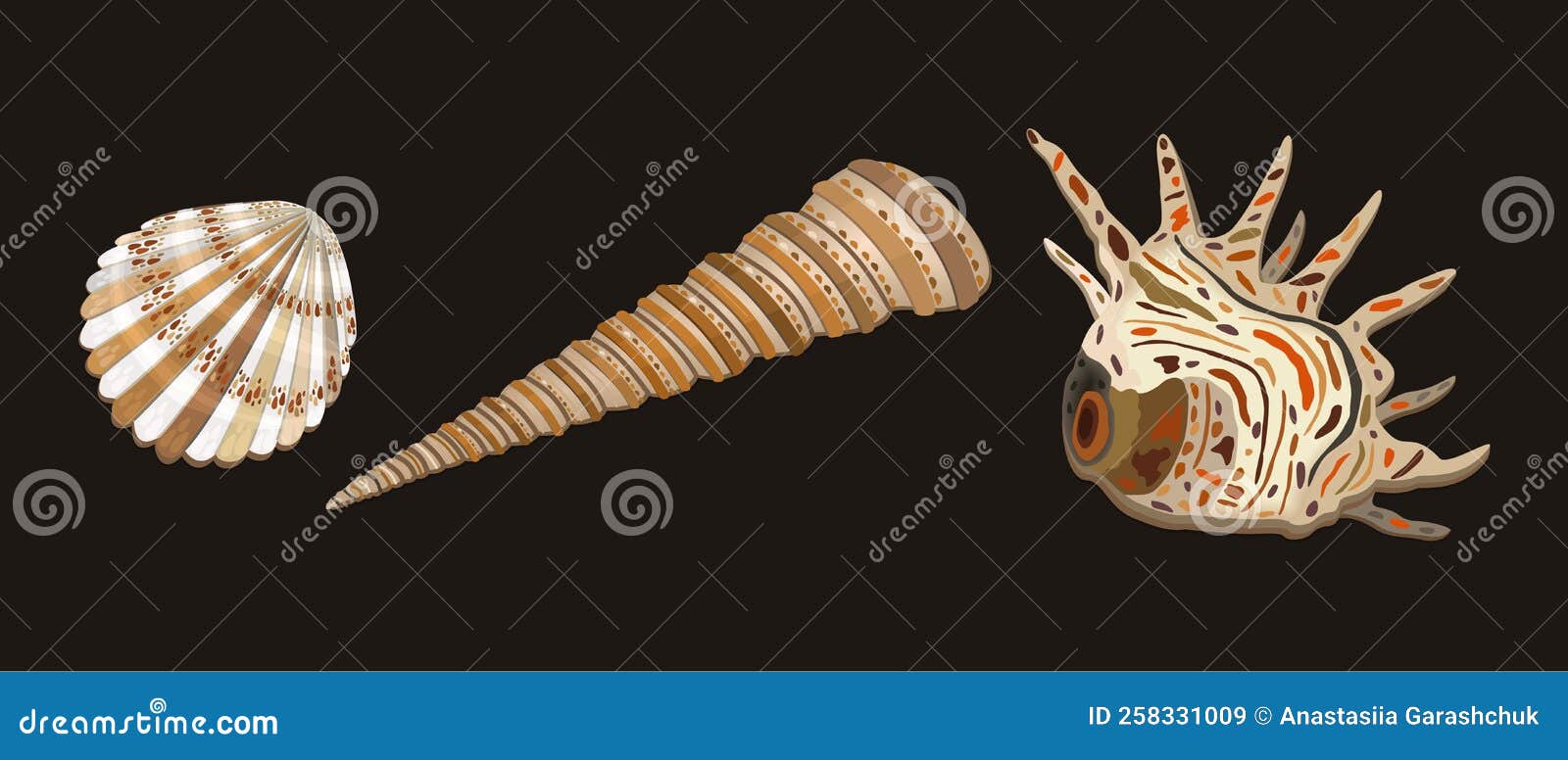 Vector Set of Various Seashells of Usual Shape with Decorative Spots ...