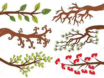 Vector Set of Various Tree Branches. Tree Branches Vector Illustration ...