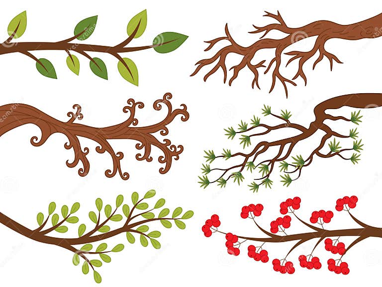 Vector Set of Various Tree Branches. Tree Branches Vector Illustration ...