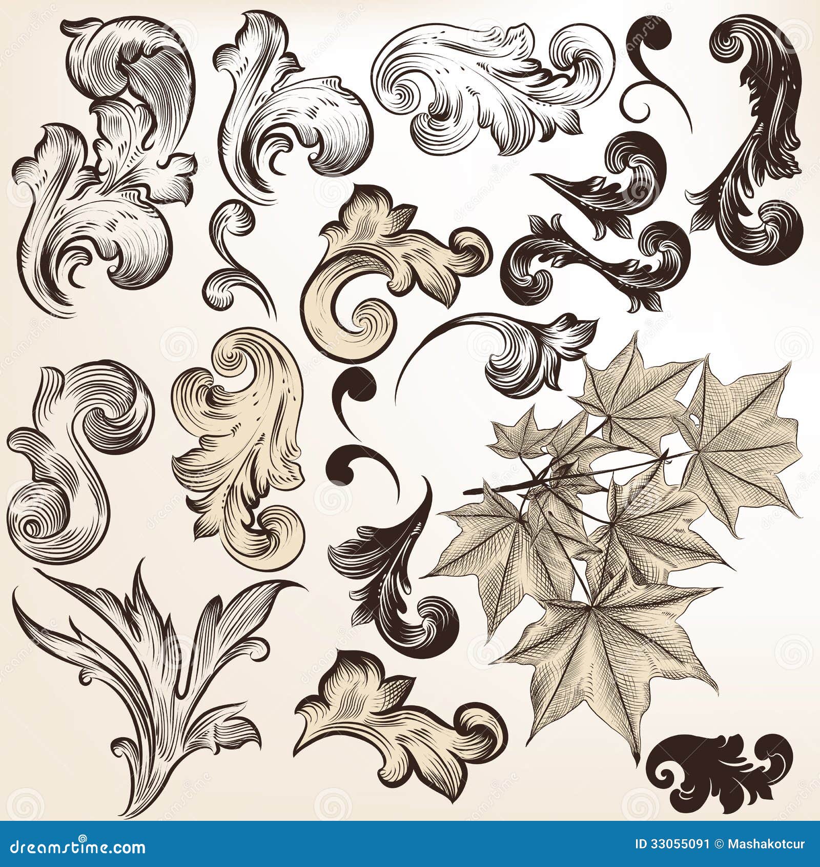 Vector Set of Vintage Swirls for Design Stock Vector - Illustration of ...