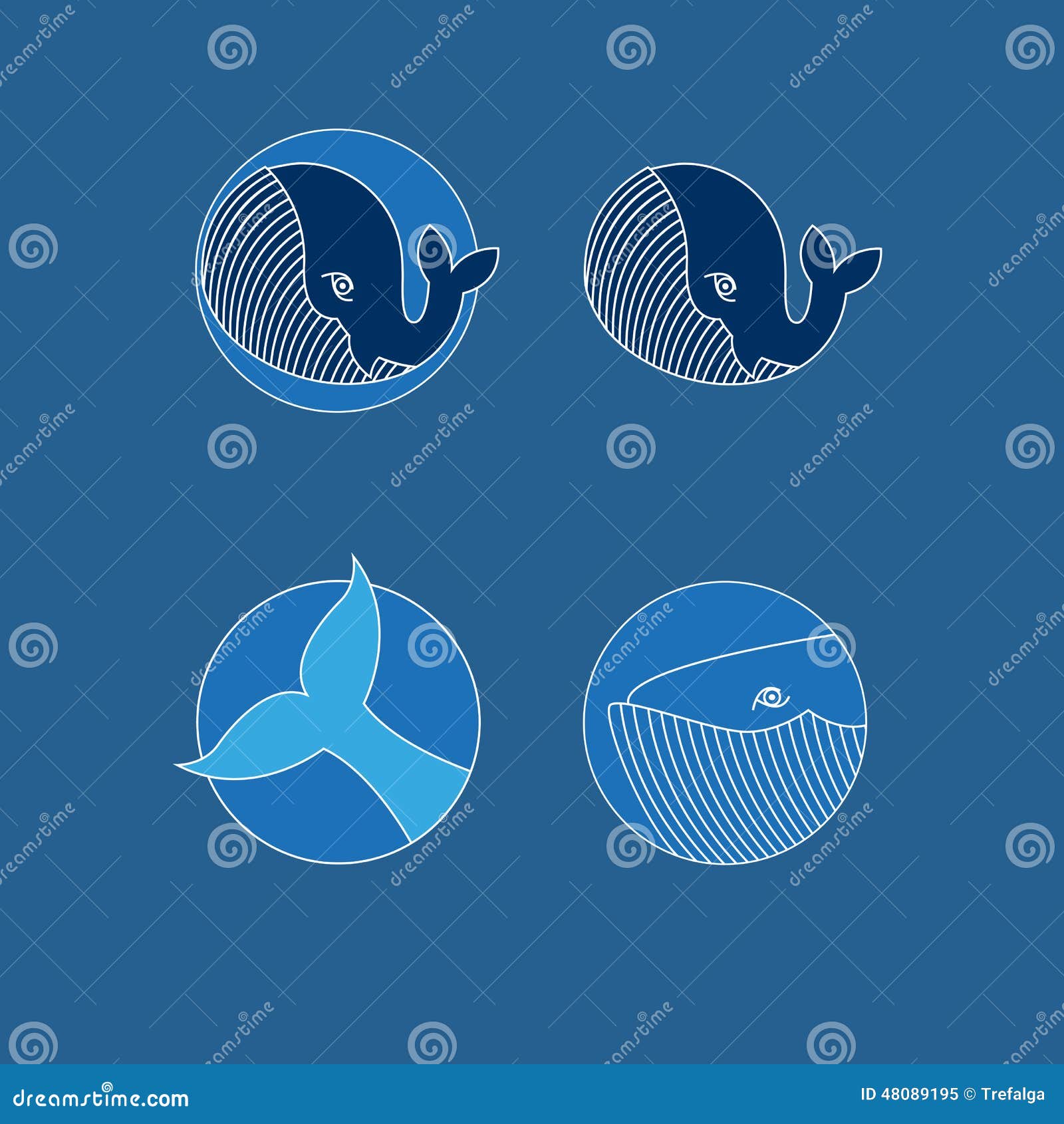 Vector set of whale icons stock vector. Illustration of tropical - 48089195