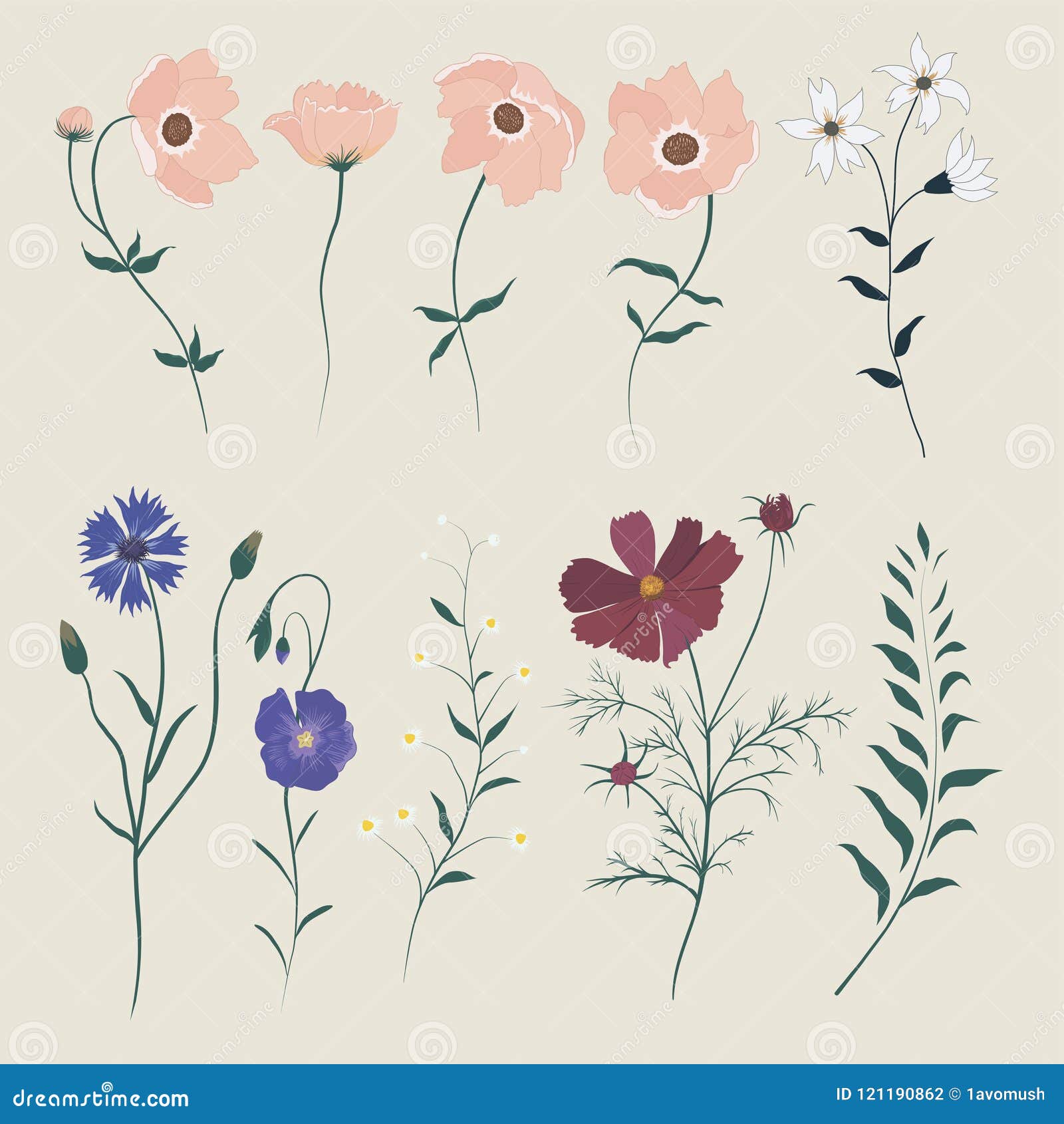 Vector Set with Wild Flowers. Stock Vector - Illustration of ...