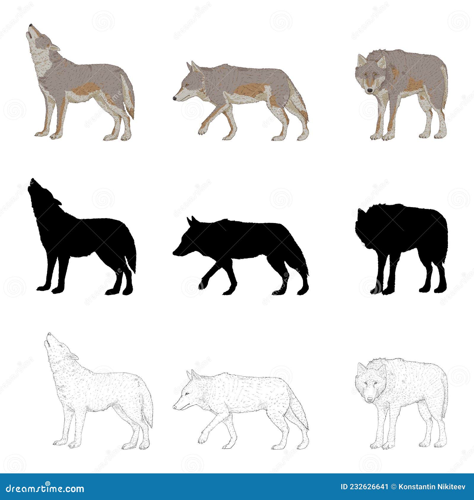 Vector Set of Wolves Illustrations Stock Vector - Illustration of ...