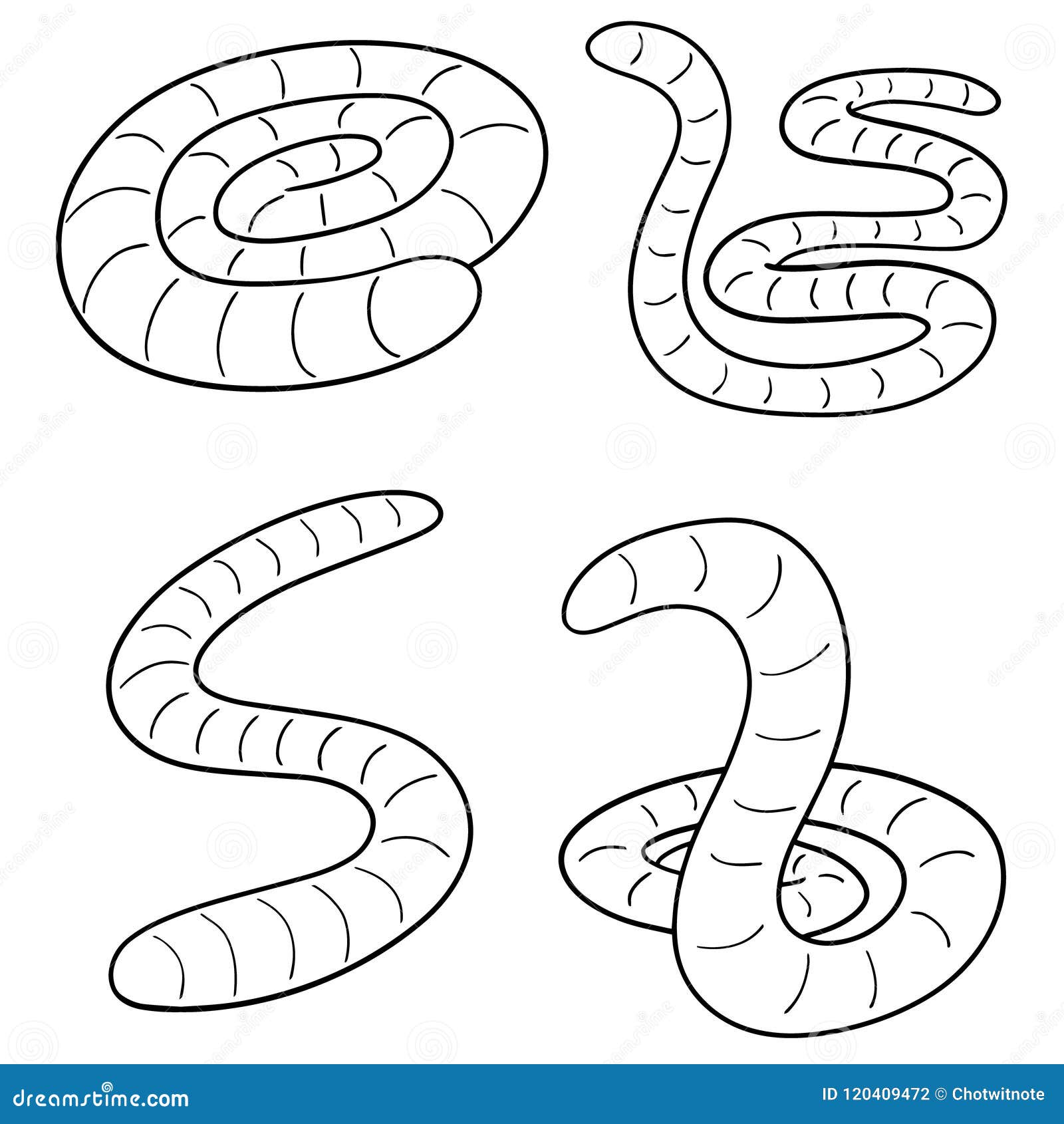 Vector set of worm stock vector. Illustration of graphic - 120409472