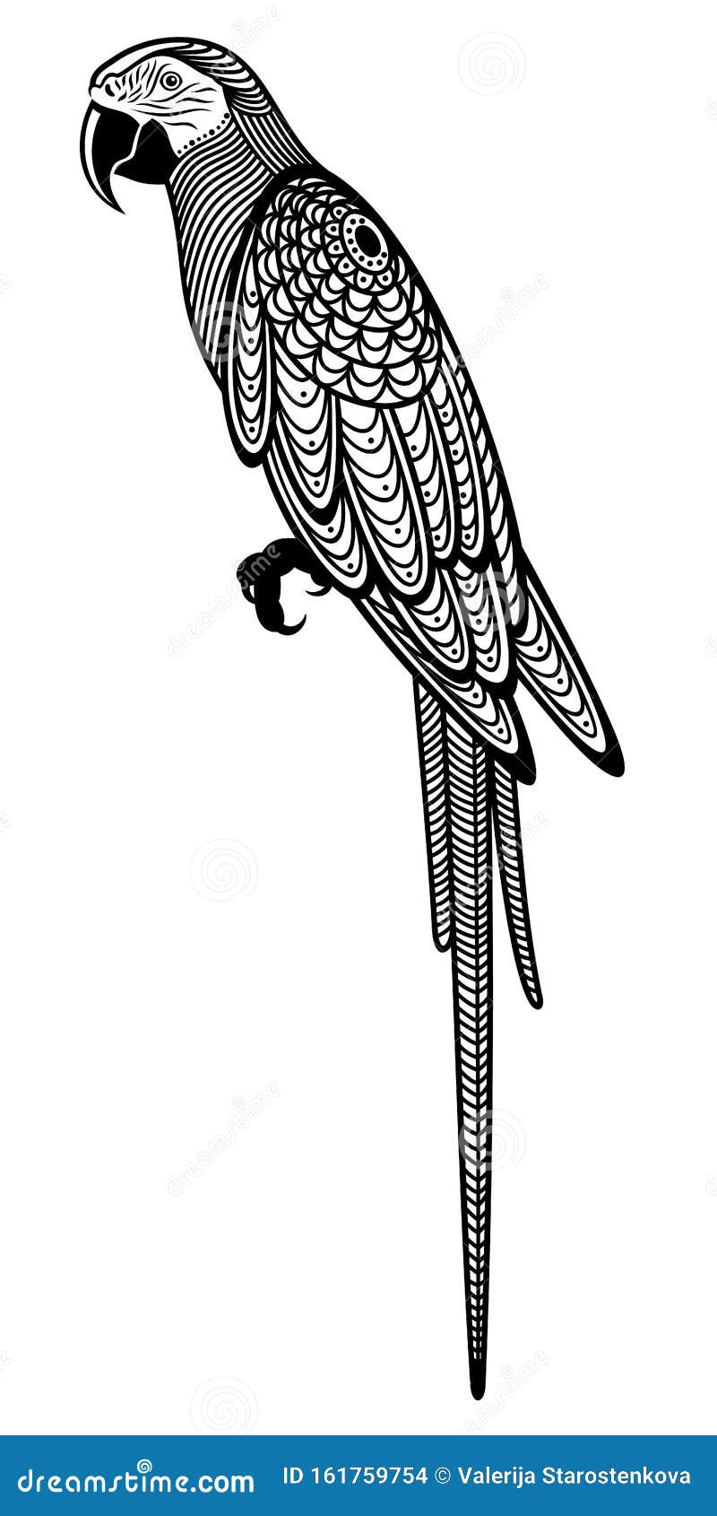 Vector Illustration Of Zentangle, Decorative, Isolated, Sitting Parrot ...