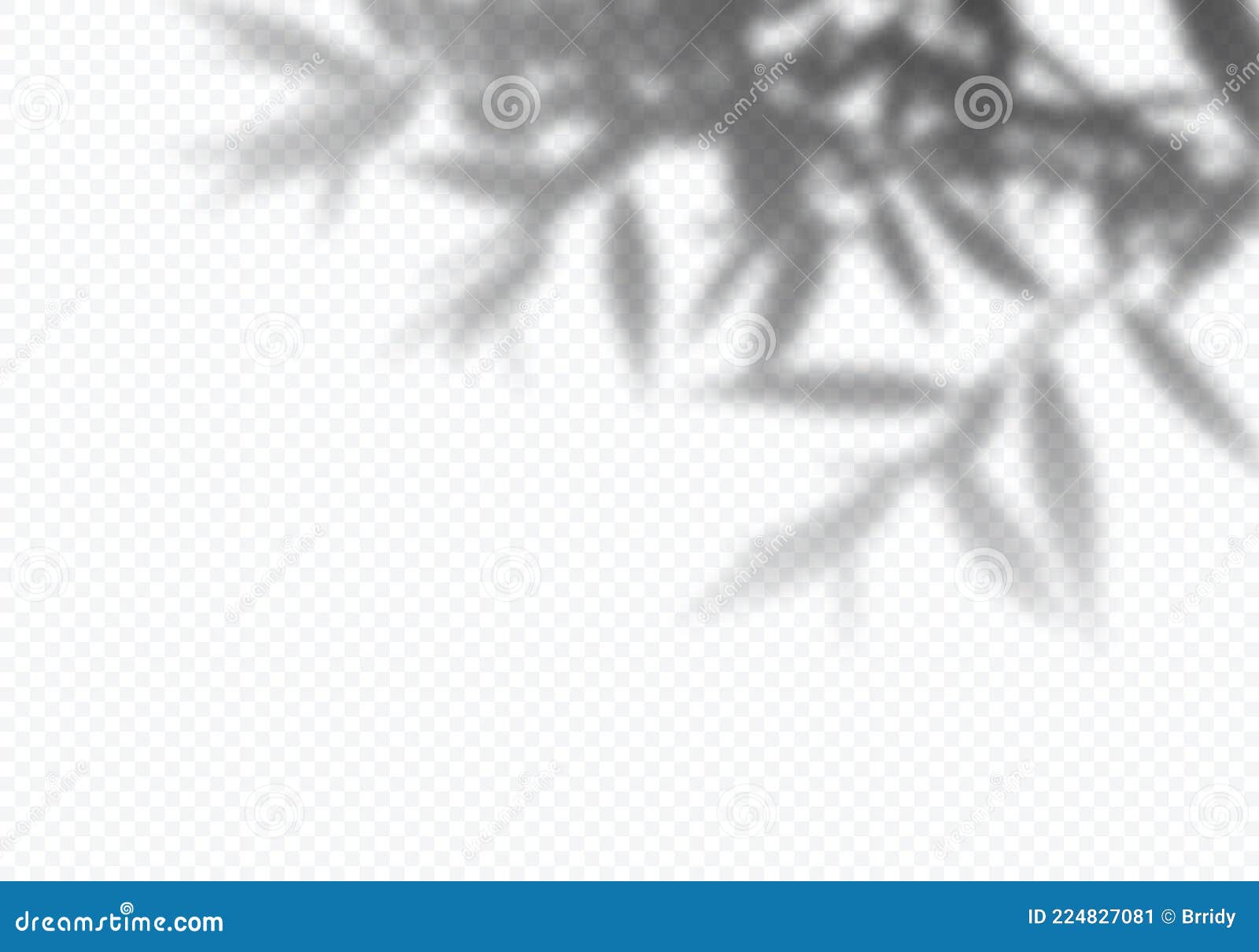 Vector Shadow of Tree Leaves. Decorative Design Element for ...