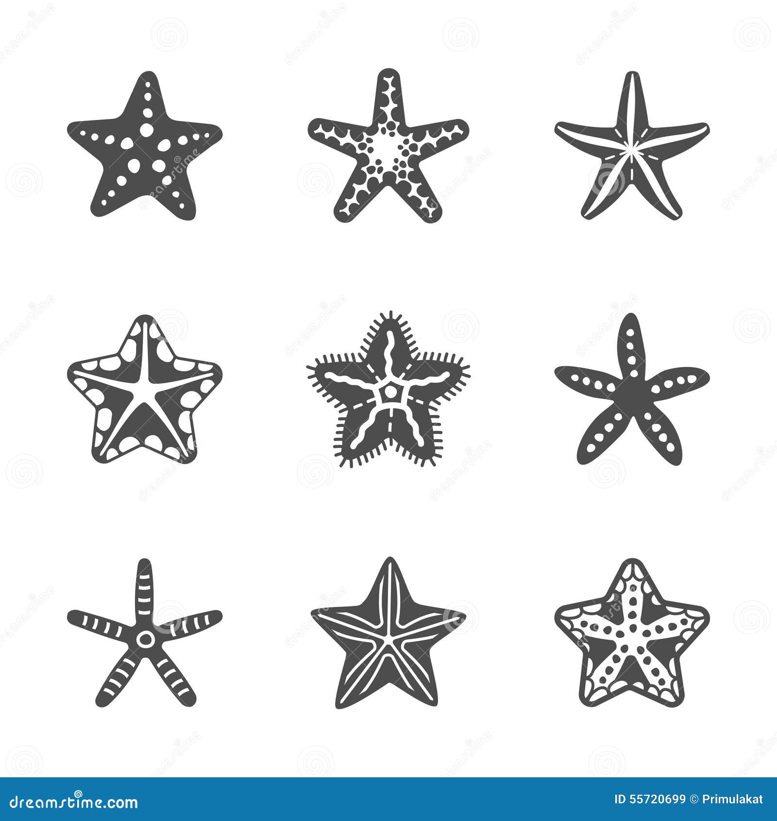 Vector Shape Set of Various Sea Starfish Stock Vector - Illustration of ...