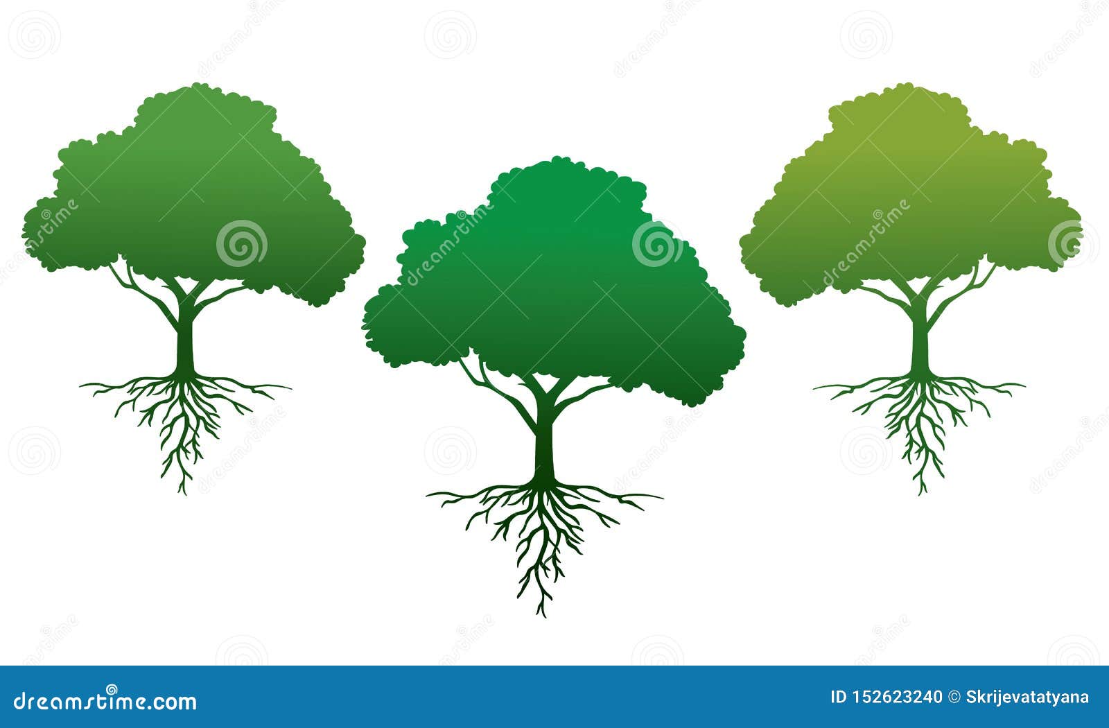 Vector Shape of Three Trees with Roots Stock Vector - Illustration of ...