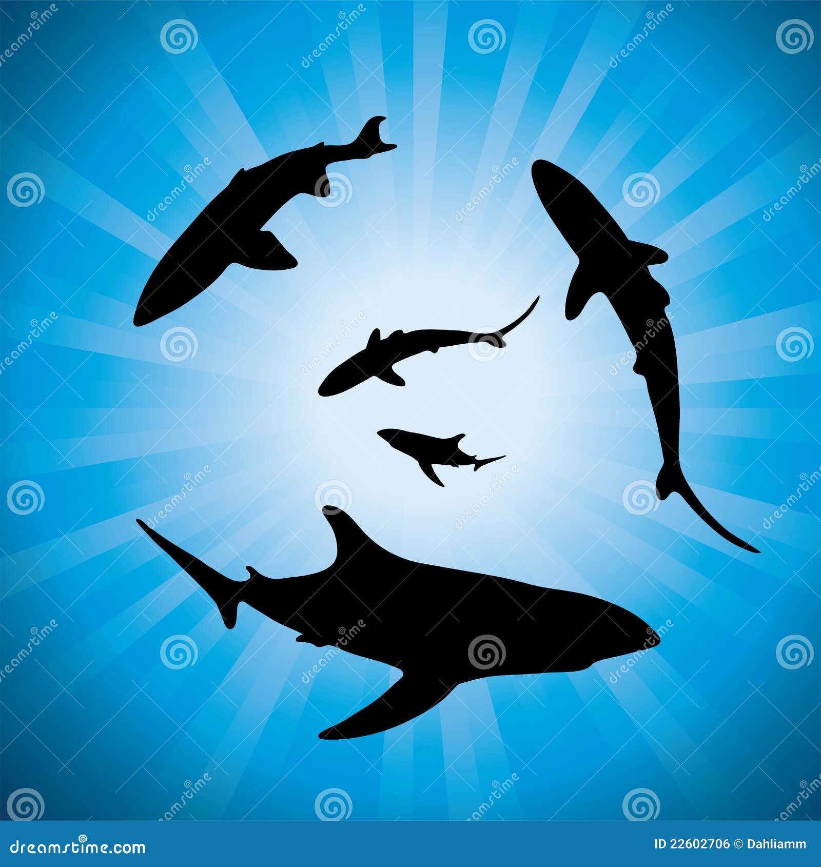 Sharks Underwater. Sketch. Vector Illustration With Splash Texture ...