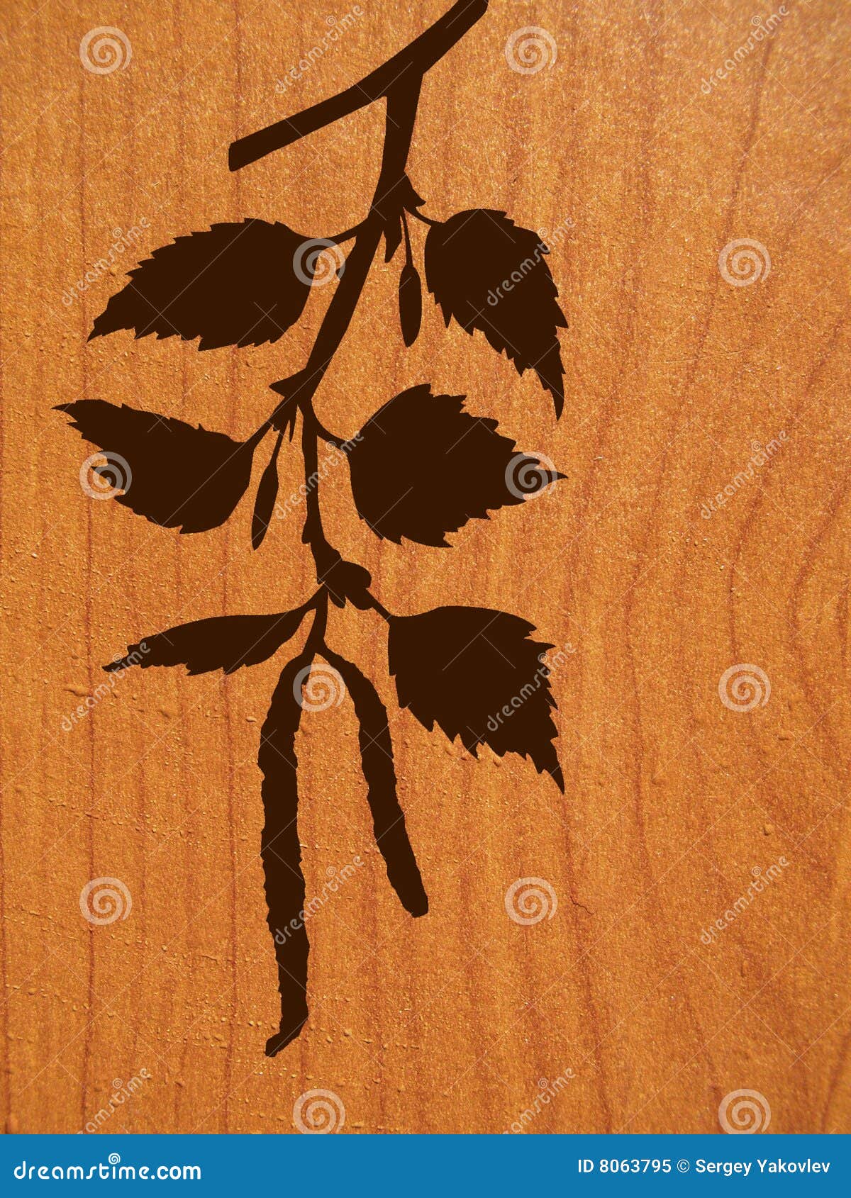 Branch Of Birch With Green Leaves And Aments. Spring Season Decor ...