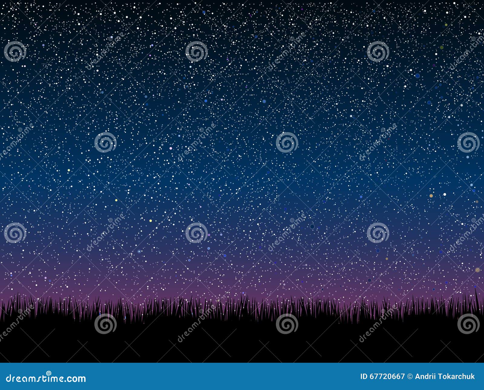 Vector. Silhouette Grass. Starry Sky. Eps 10. Stock Vector ...