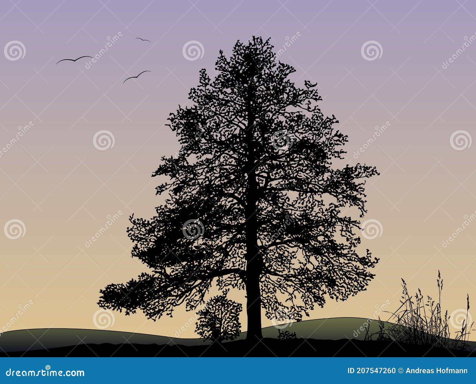 Vector Silhouette Of Natural Oak Tree.Tree Silhouette On The White ...