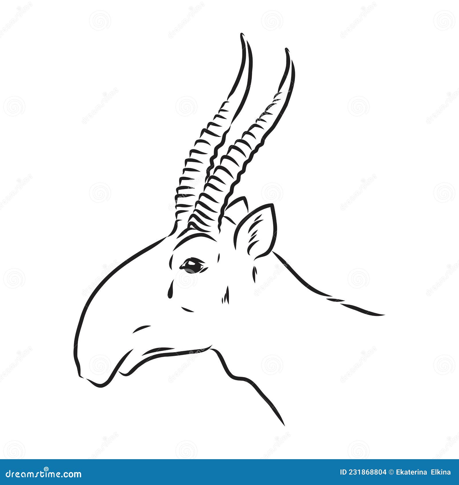 Vector Silhouette Saiga On White Background Saiga Animal Vector ...