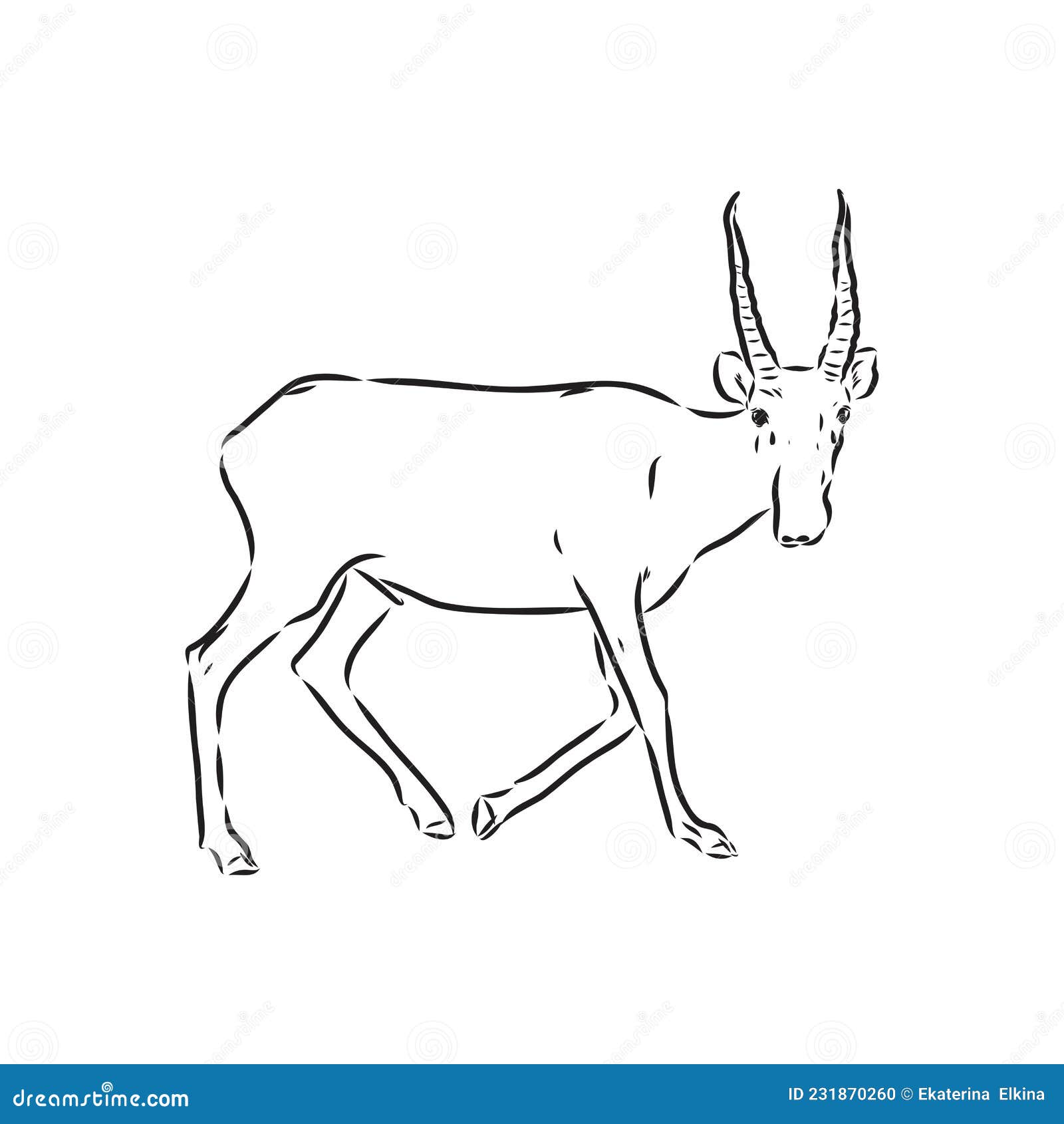 Vector Silhouette Saiga On White Background Saiga Animal Vector ...