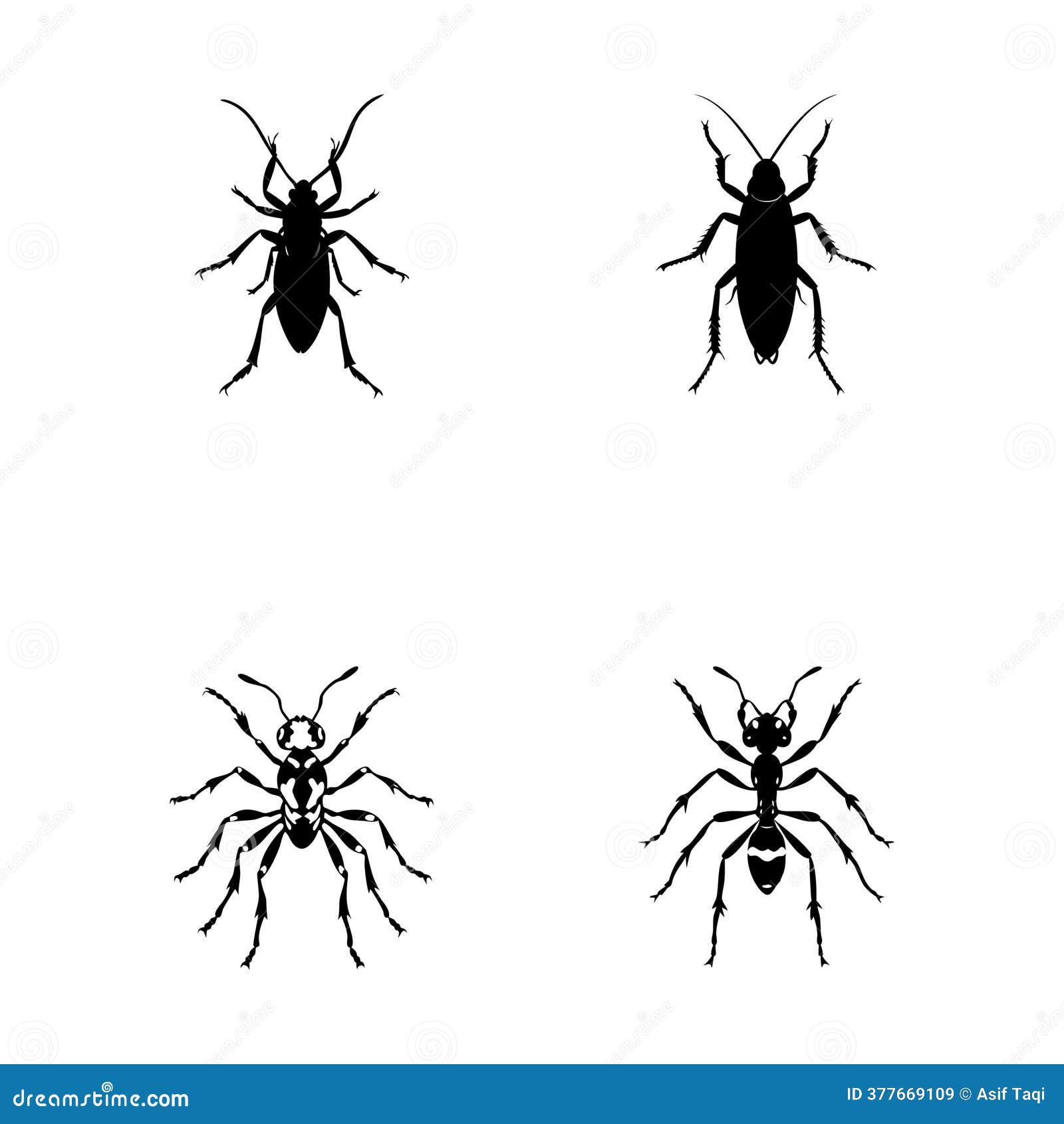 Set Cockroach, Spider, Termite, Snail, Colorado Beetle, Butterfly ...