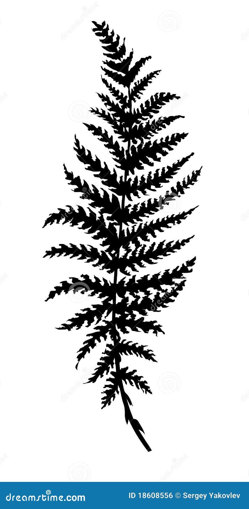 Vector Silhouette Sheet Fern Stock Vector - Illustration of black ...