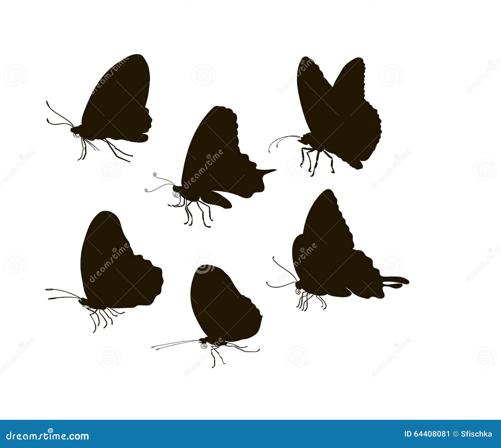 Butterflies Side View Isolated On Transparent Background. Vector ...
