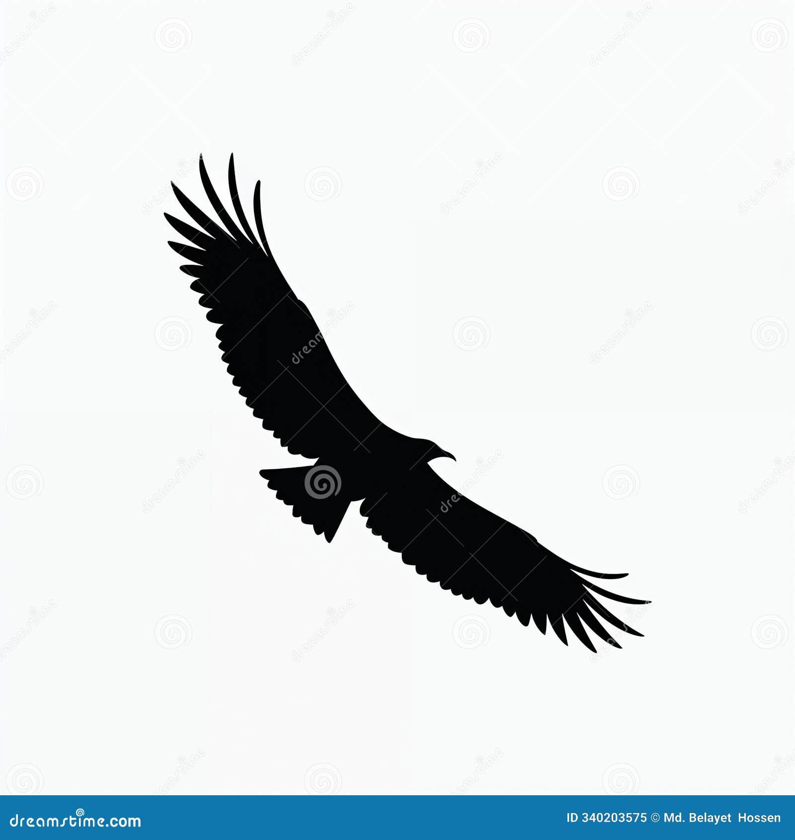 A Vector Silhouette of a Soaring Bird Stock Illustration - Illustration ...