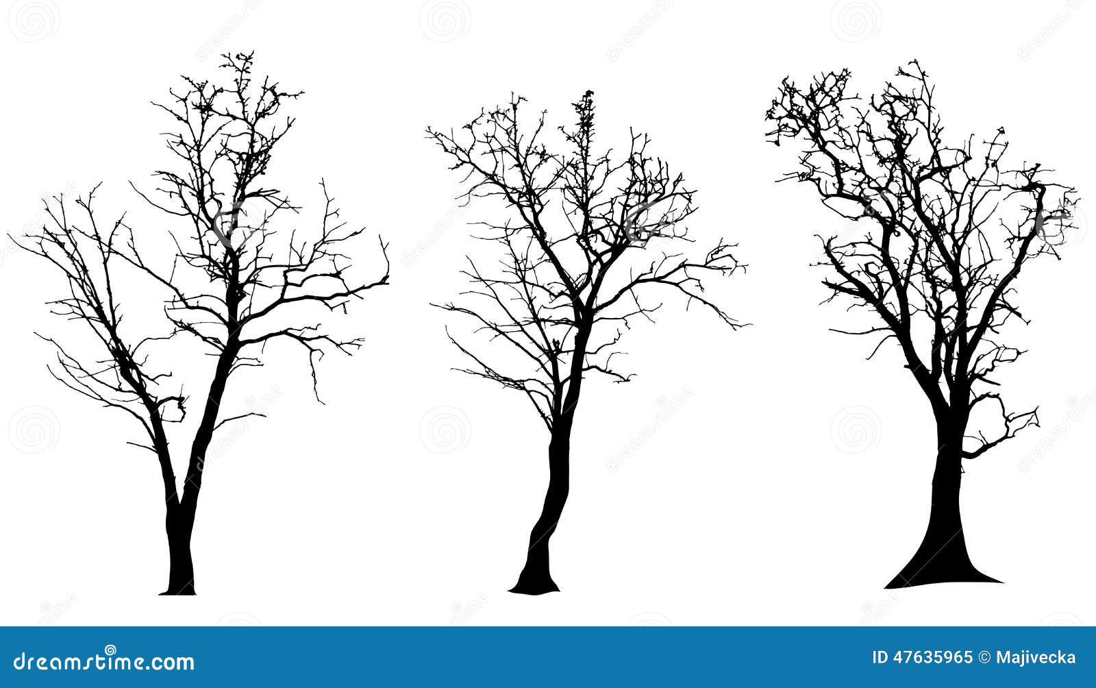 Bare Tree Silhouette With Tall Trunk And Branched Top As Misty Forest ...