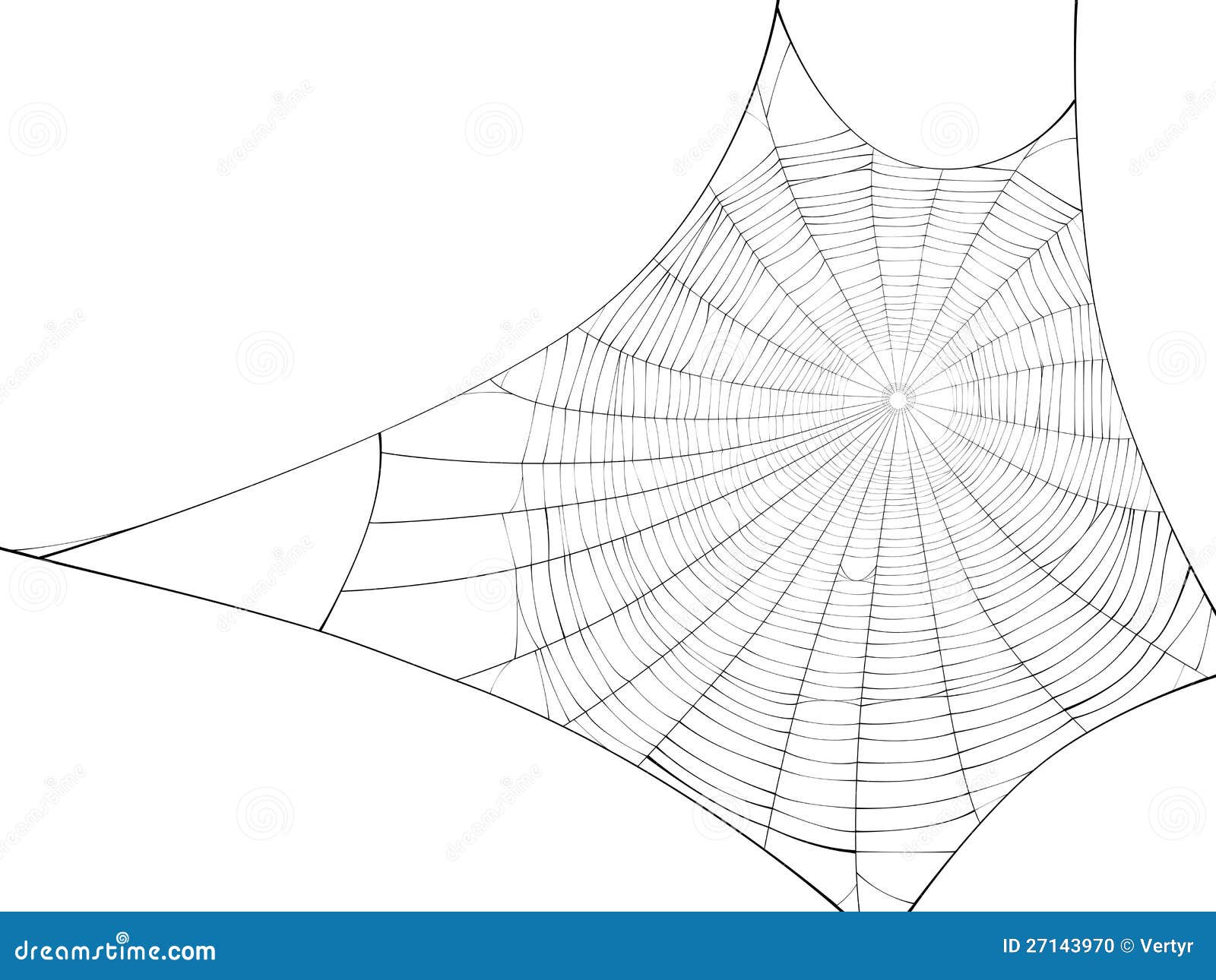 Vector Silhouette of Web of Spider. Stock Vector - Illustration of ...