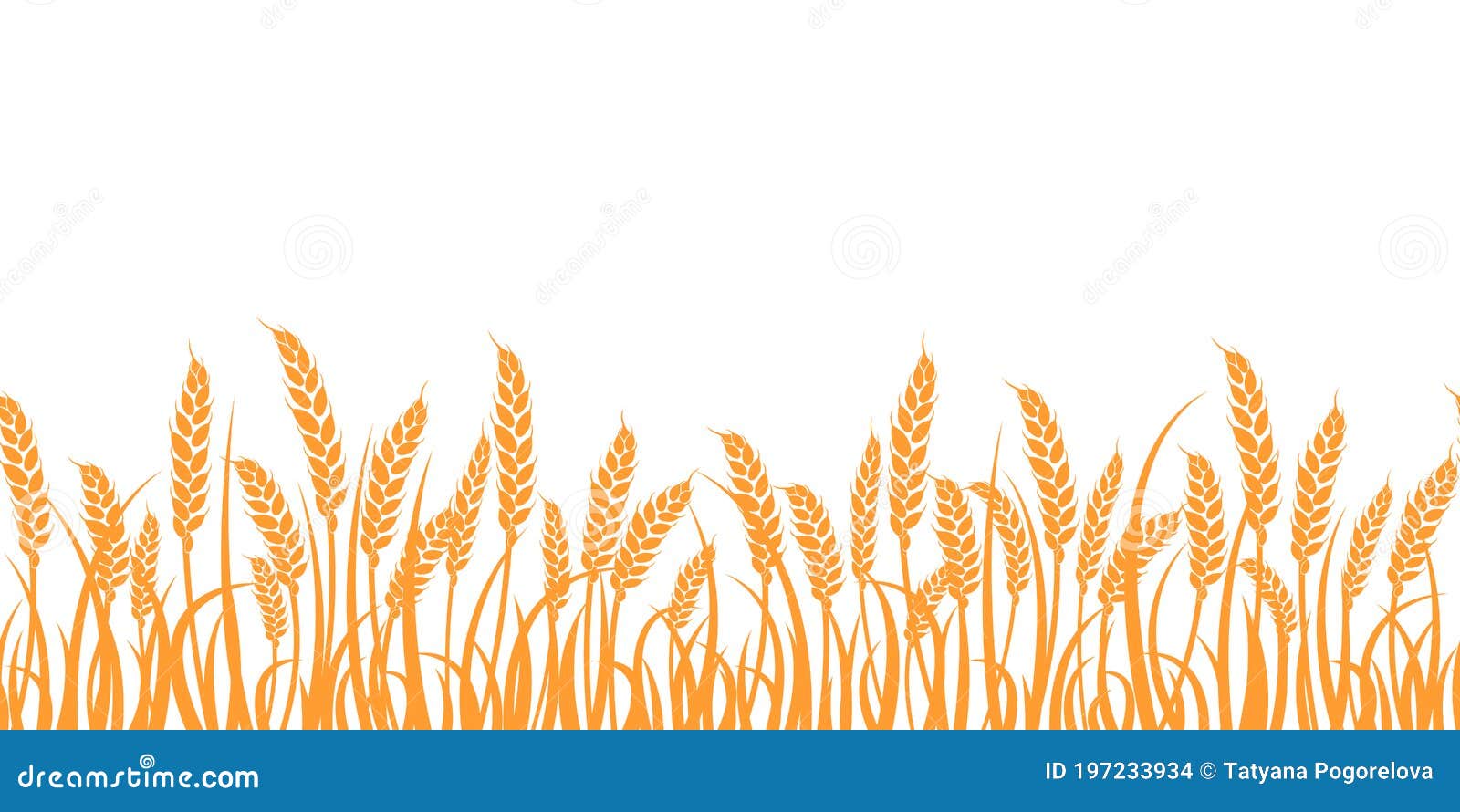 Vector Silhouette of Wheat. Wheat in the Field on a White Background ...