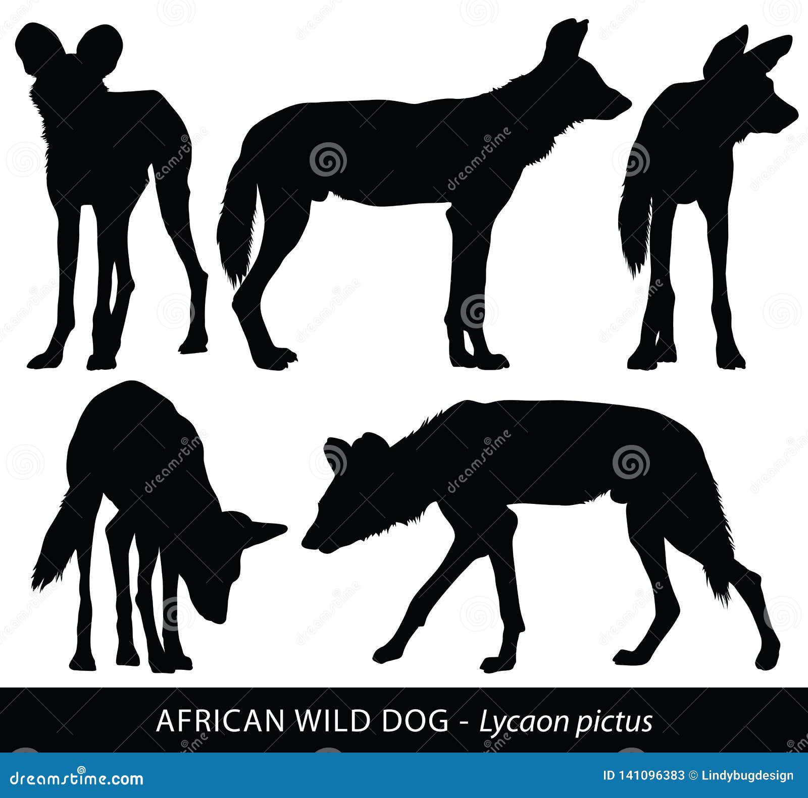 Vector Silhouettes of African Wild Dogs Stock Illustration ...